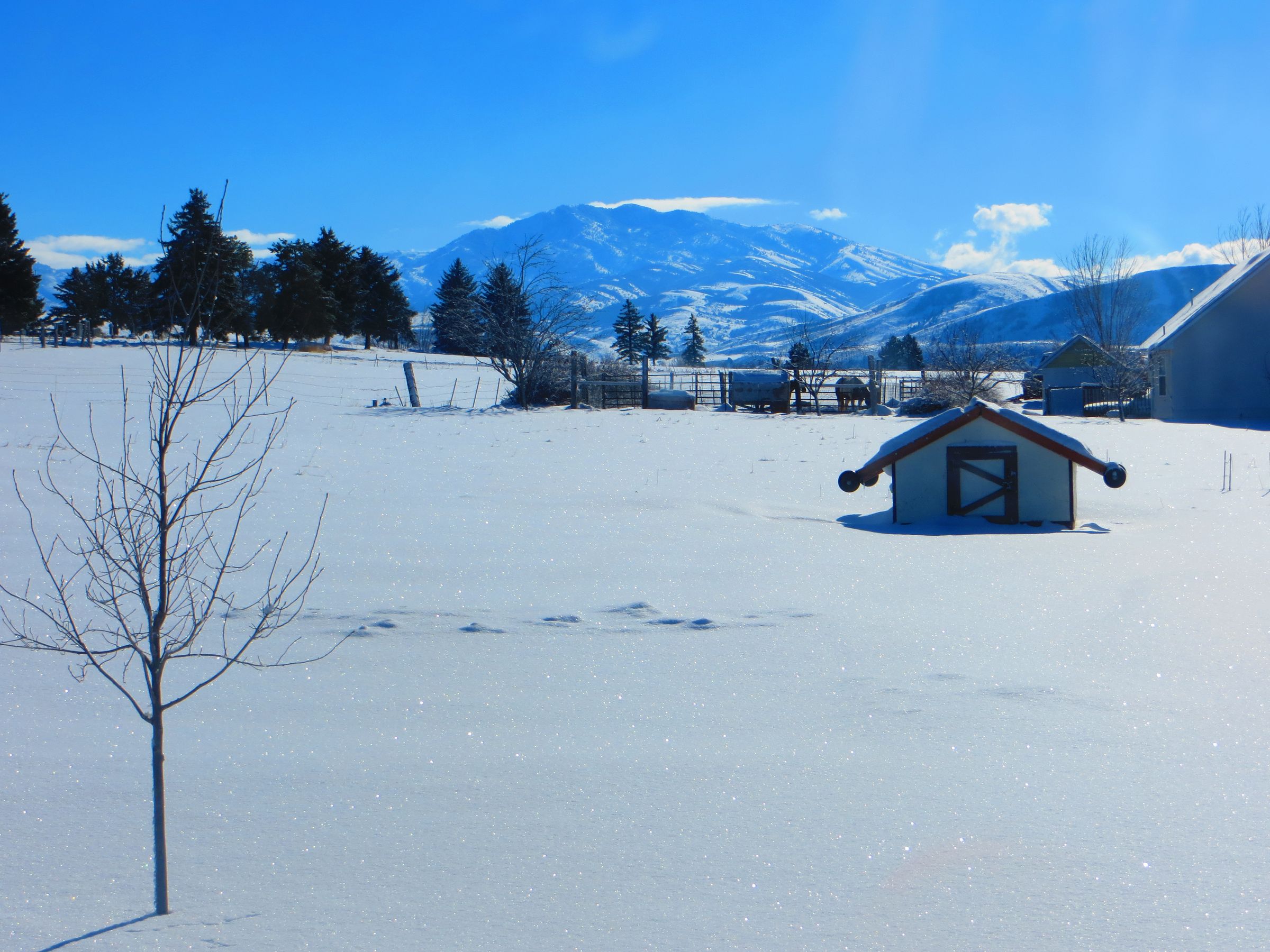 A Tiny Telescope Observatory : 15 Steps (with Pictures) - Instructables
