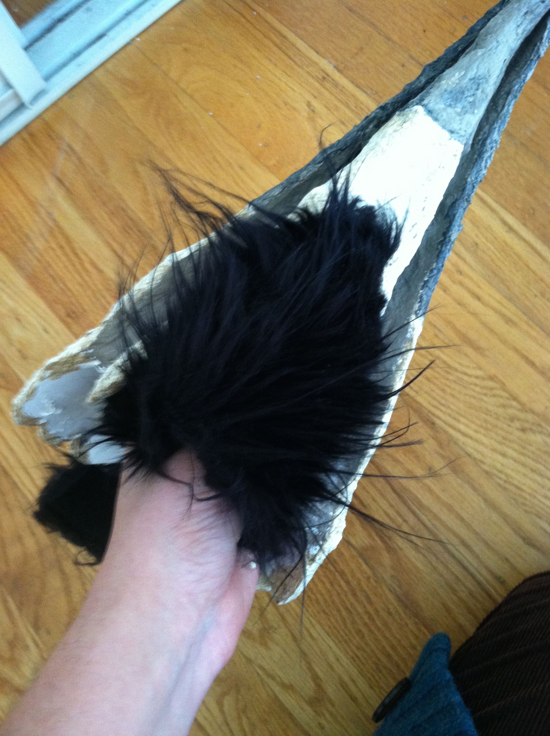 Bird Skull Puppet : 7 Steps (with Pictures) - Instructables