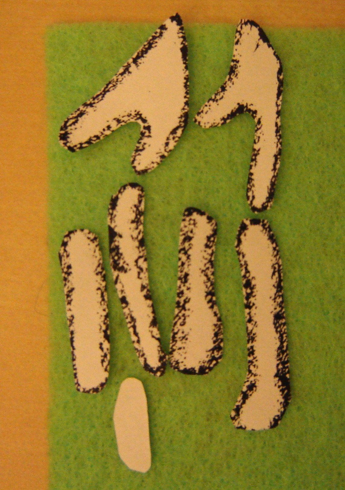 Plush Cell Model : 13 Steps (with Pictures) - Instructables