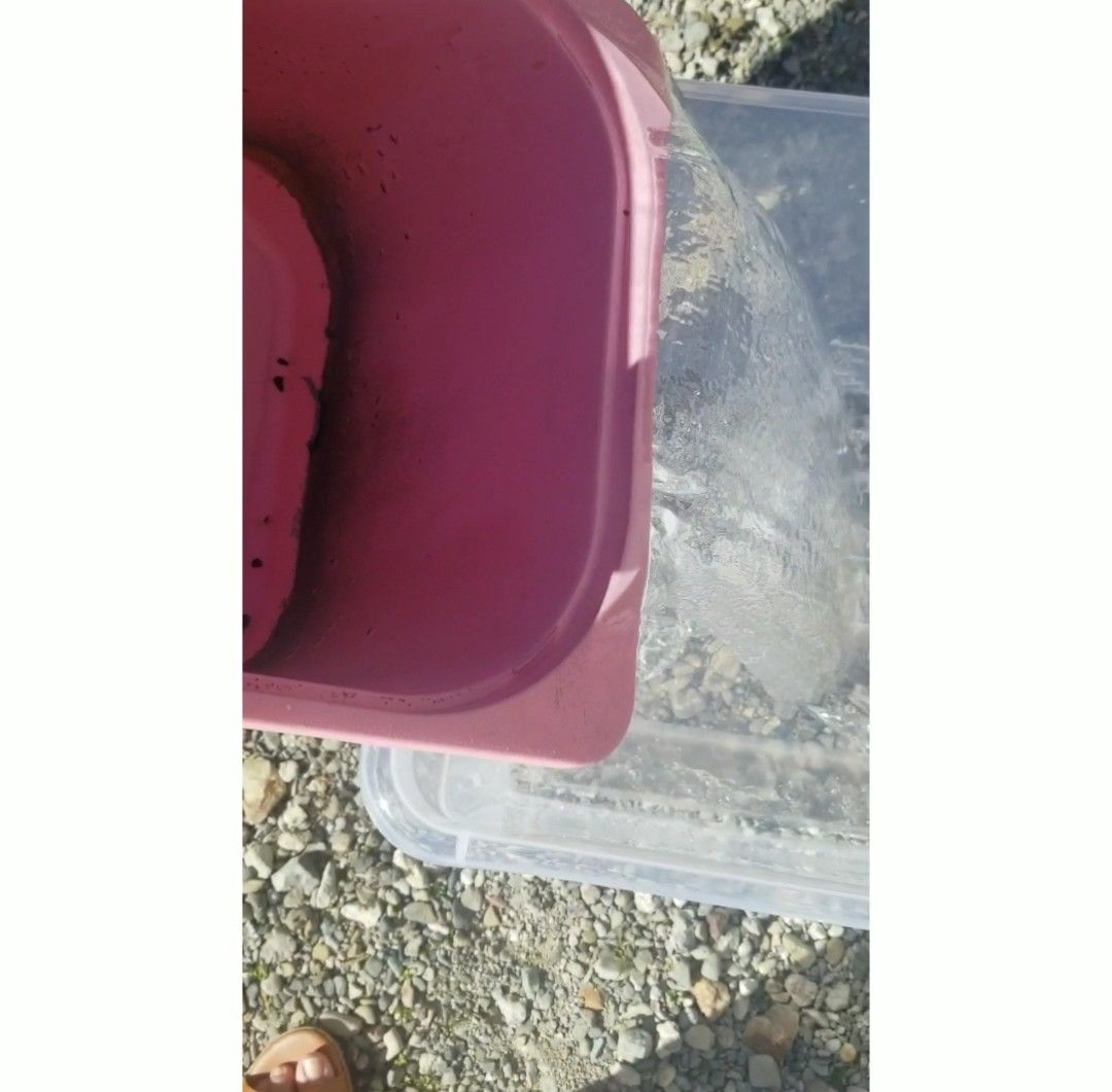 How to Hydro Dip a Binder : 6 Steps - Instructables