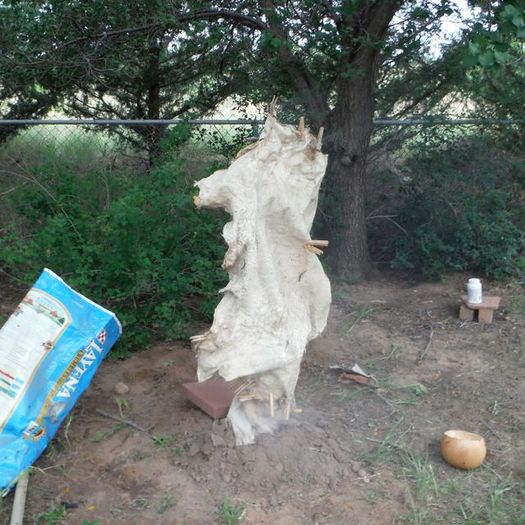 Making Buckskin : 9 Steps (with Pictures) - Instructables