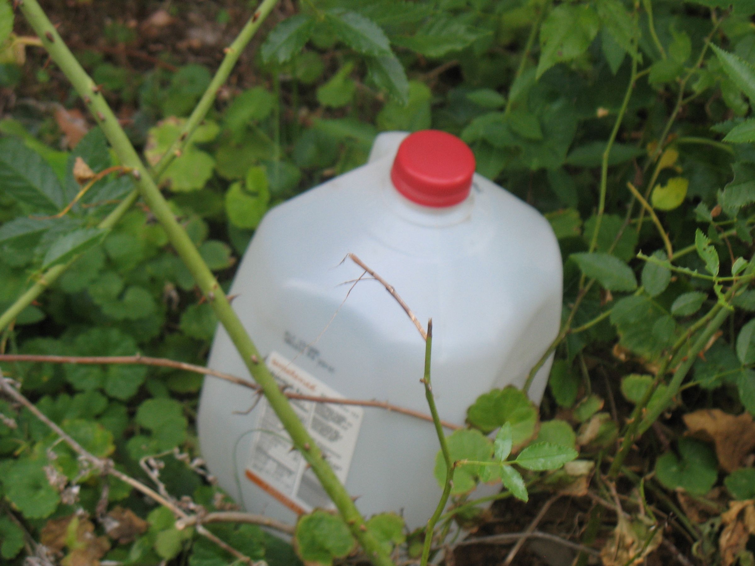 Drip Irrigation : 3 Steps - Instructables