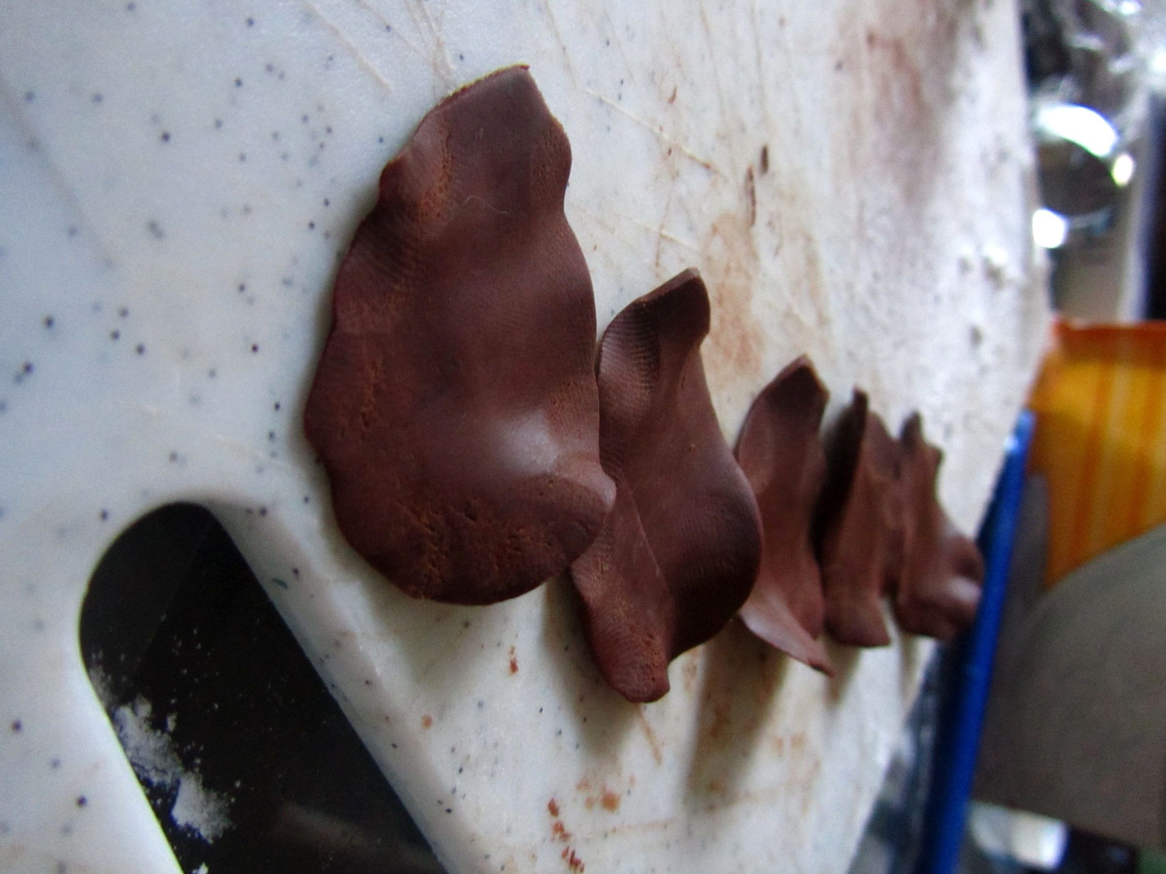 Modelling Chocolate Roses : 9 Steps (with Pictures) - Instructables