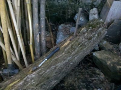 Splitting Black Locust Logs With Wedges : 7 Steps (with Pictures ...