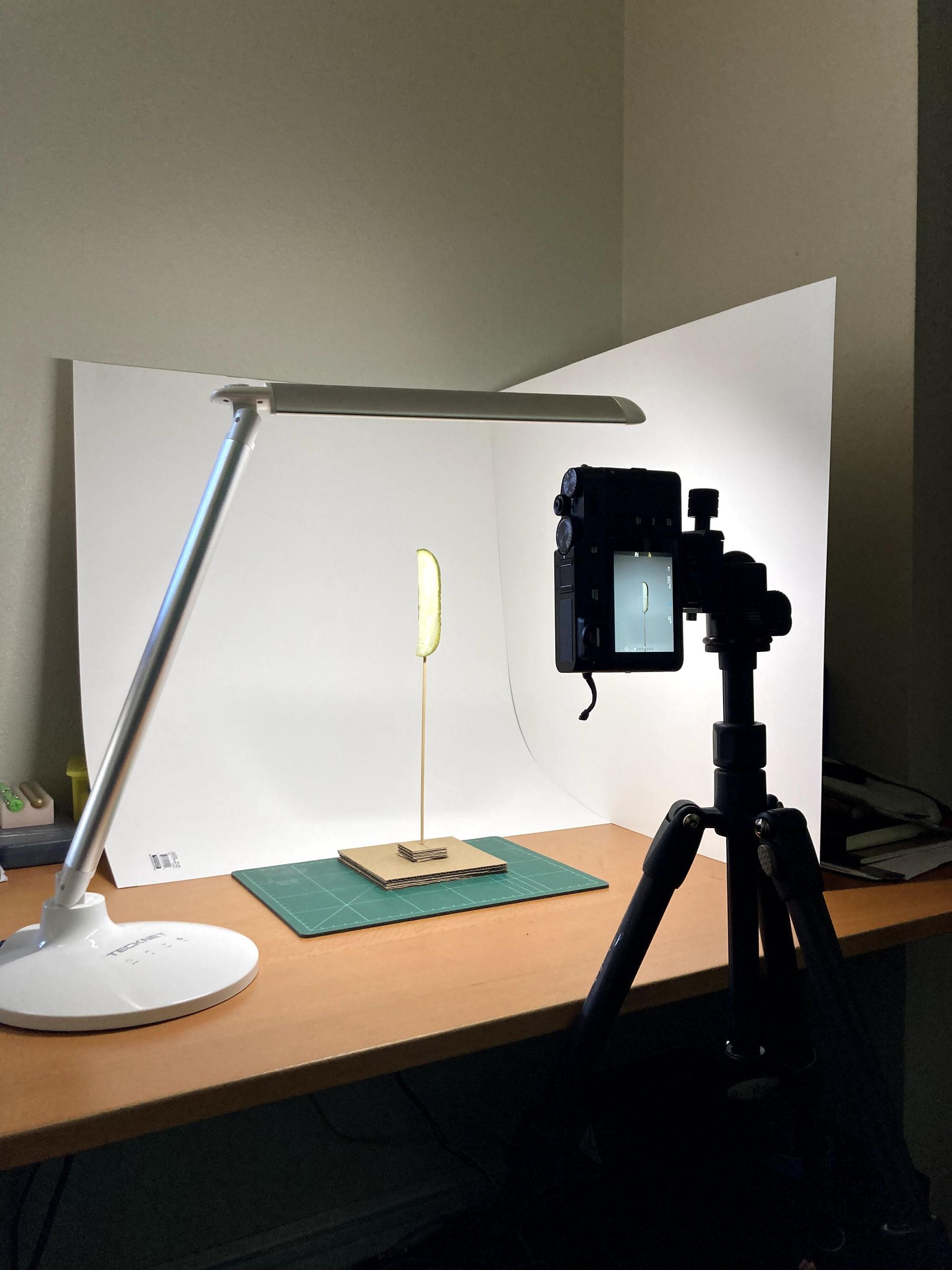 Flower Photogrammetry : 4 Steps - Instructables