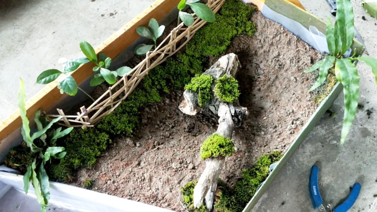 Turtle Habitat for Baby Turtles | Homemade Turtle Garden : 18 Steps ...