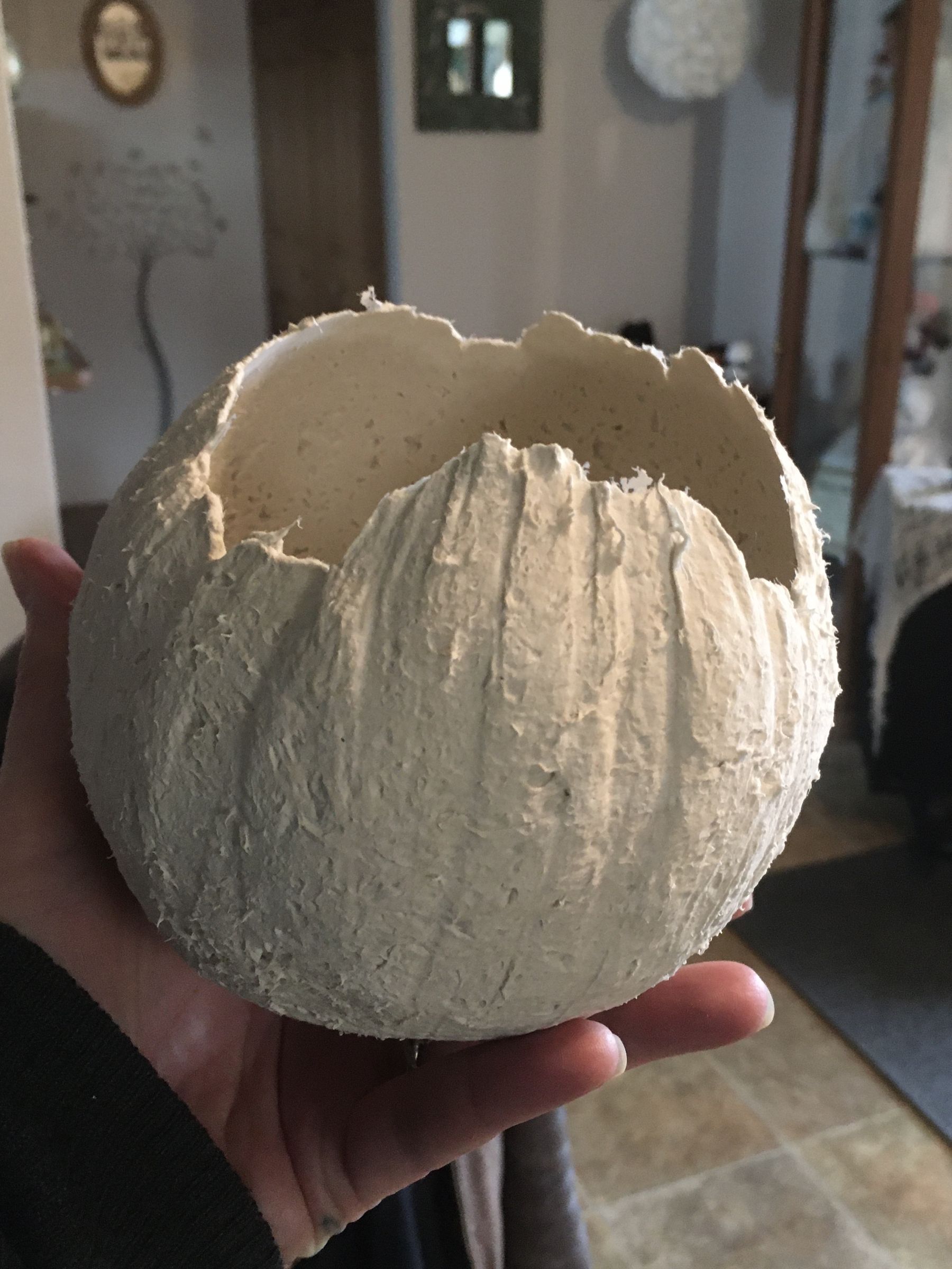 Barnacle Sculptures--and an Experiment With 2 Kinds of Homemade Paper ...