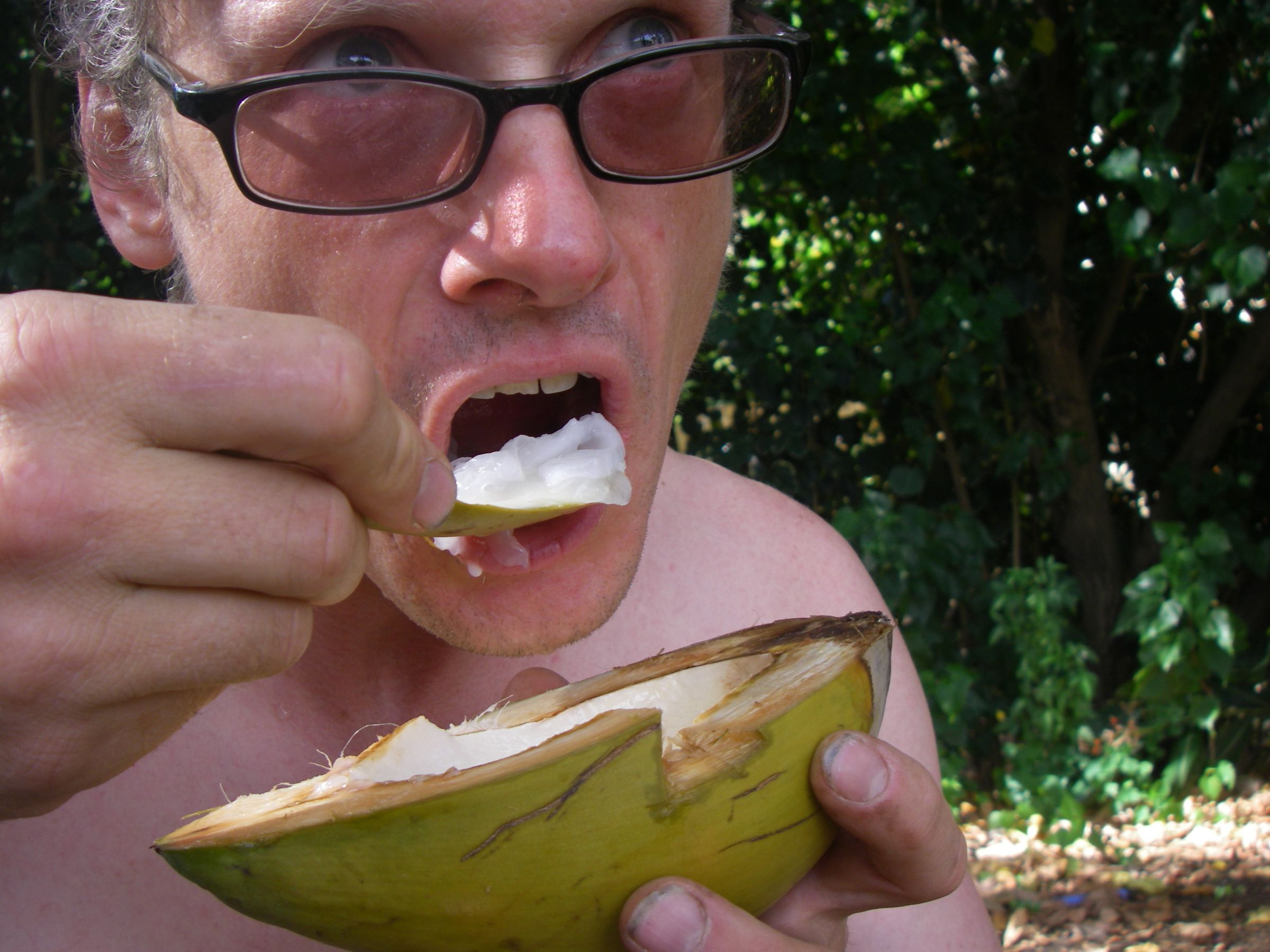 How to Open and Drink a Coconut : 13 Steps (with Pictures) - Instructables