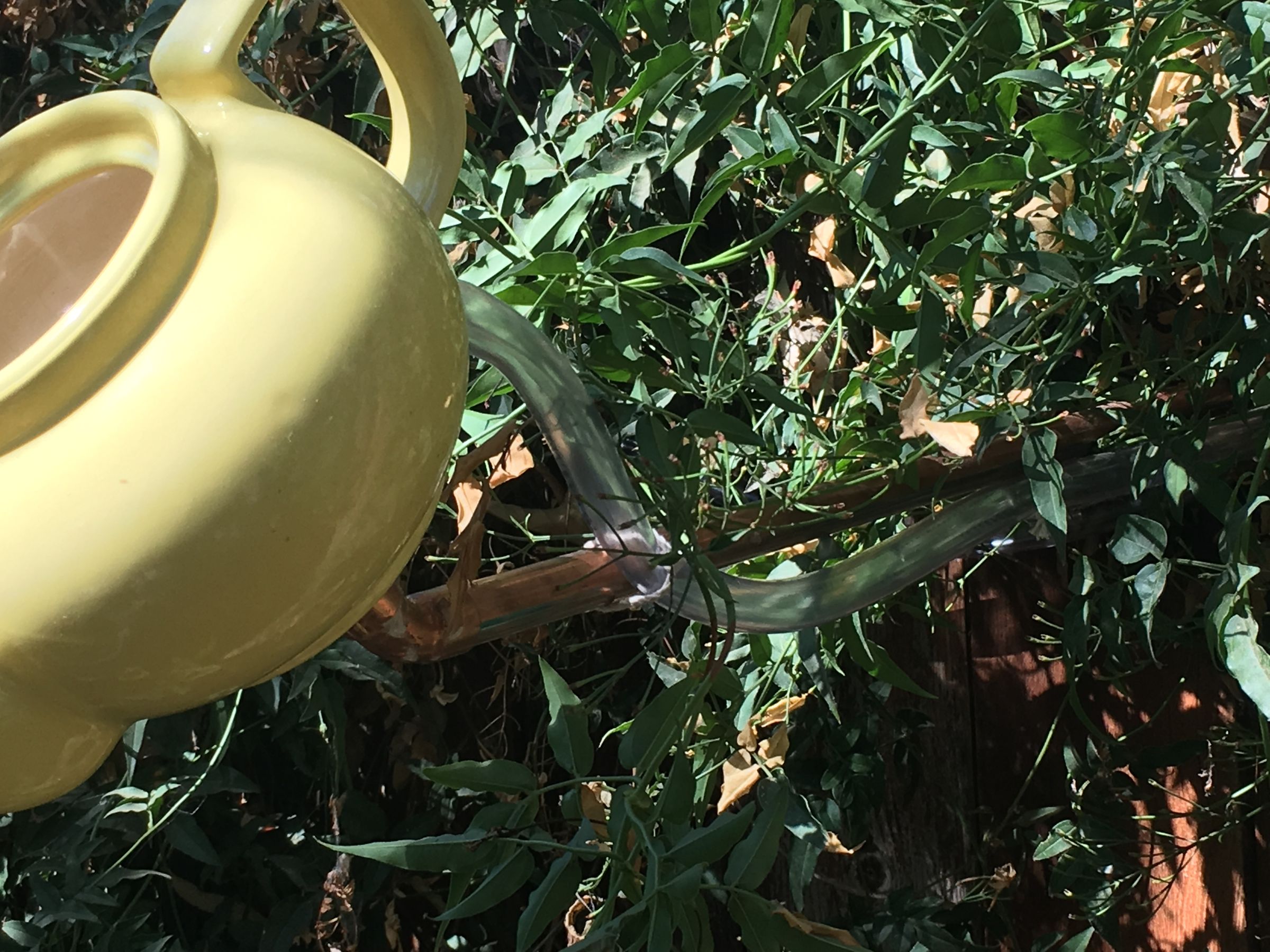 English Breakfast Tea Floating Fountain : 8 Steps (with Pictures ...