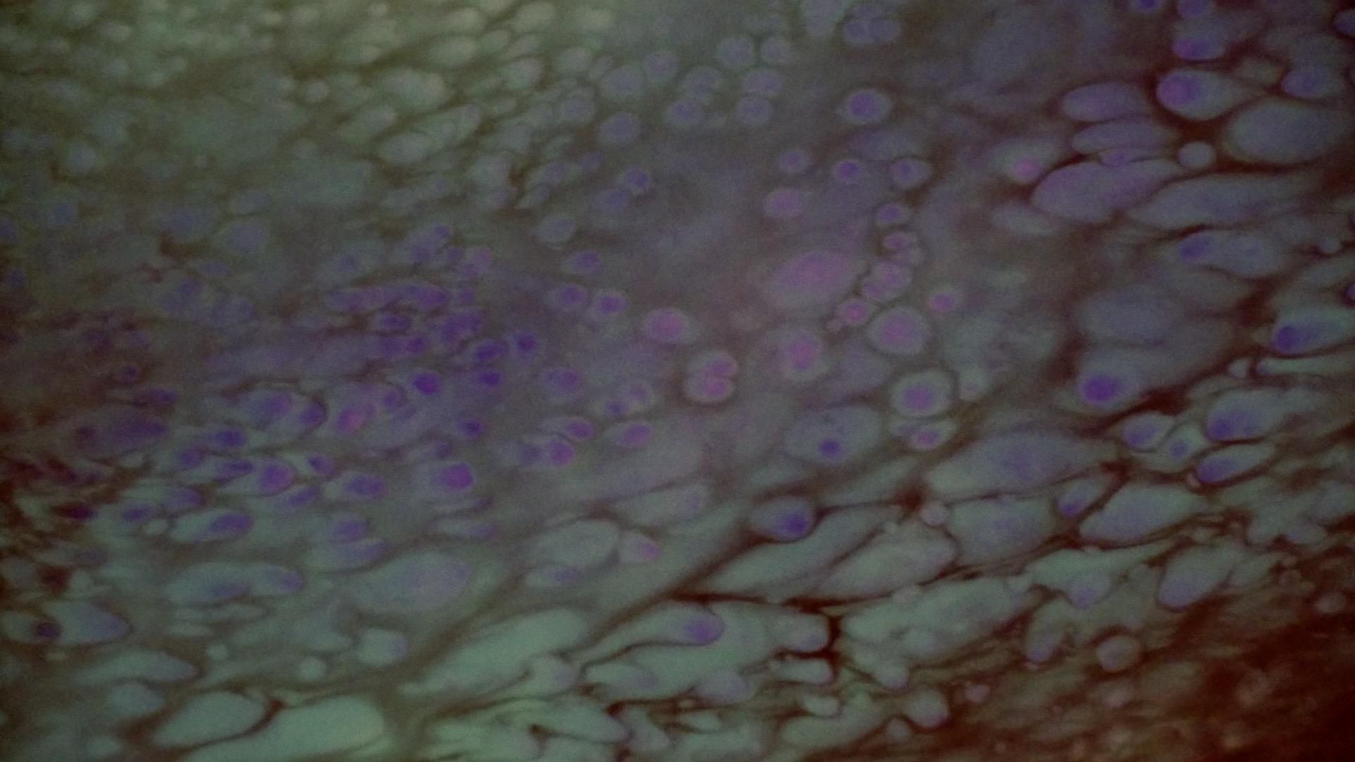 How to Make Resin Art on a Canvas (For Beginners) : 10 Steps (with ...