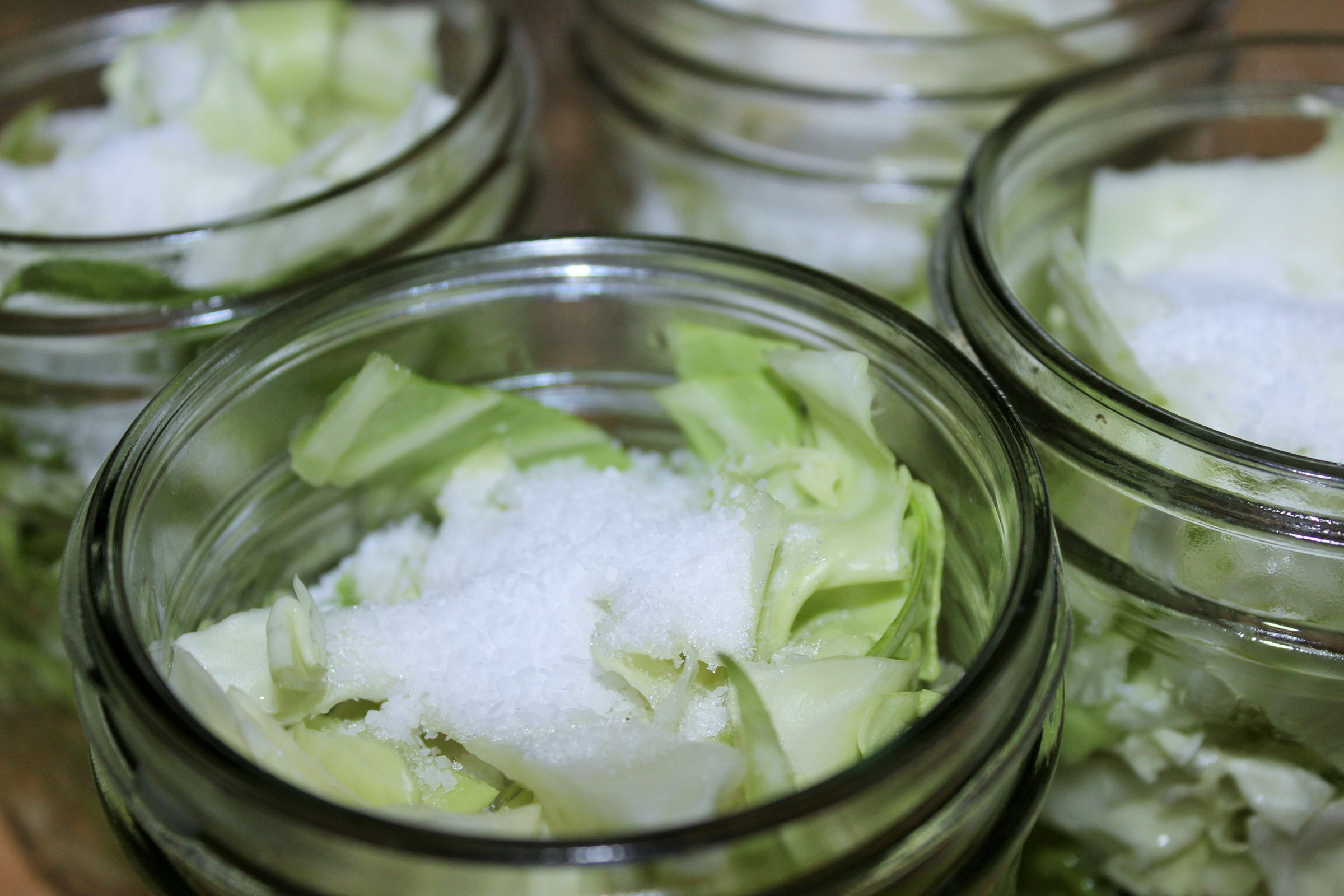 How to Can Cabbage : 5 Steps (with Pictures) - Instructables