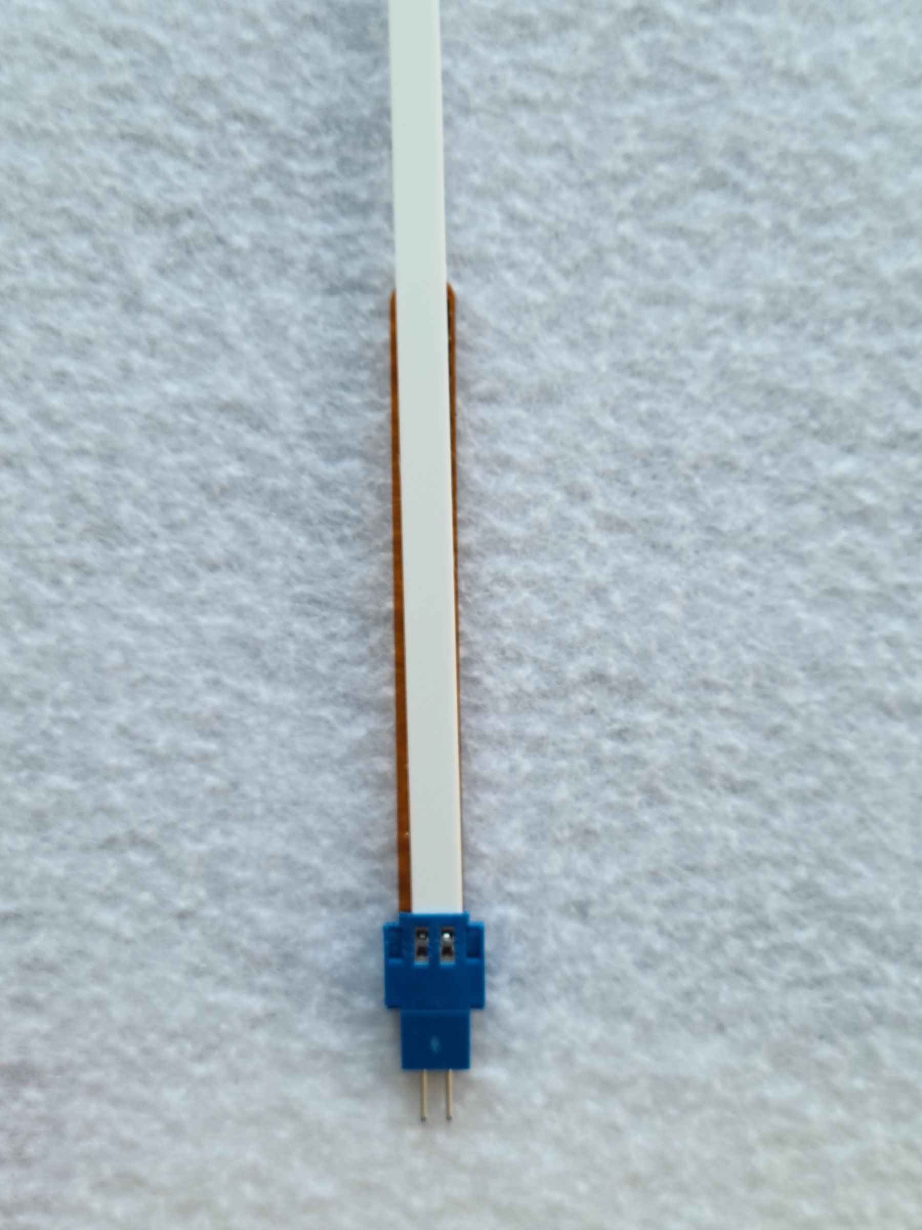 Cyborg Crafts: Sense Like a Cat With Whiskers - Sensory Extension ...