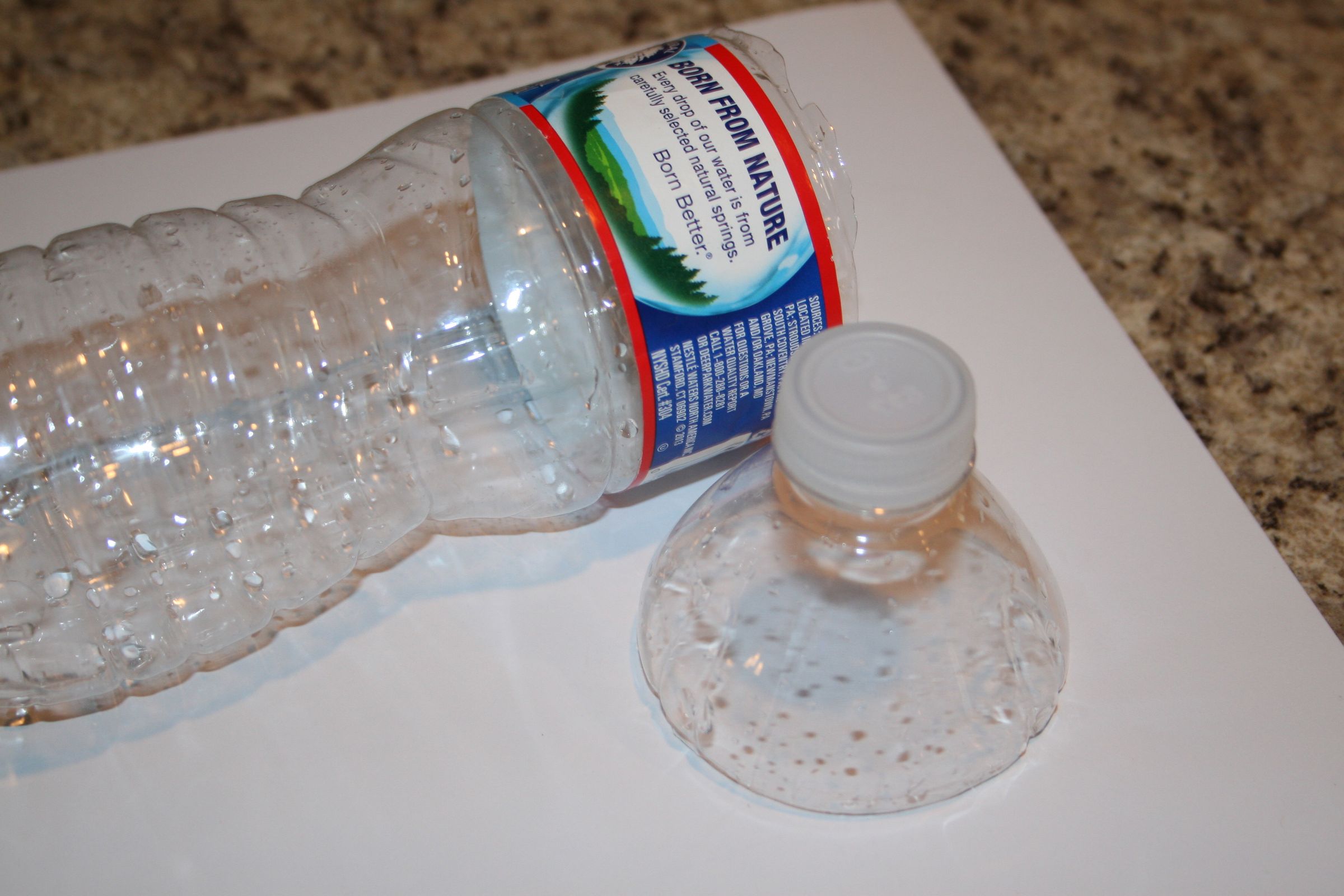 How to Make a Survival Minnow Trap : 3 Steps - Instructables
