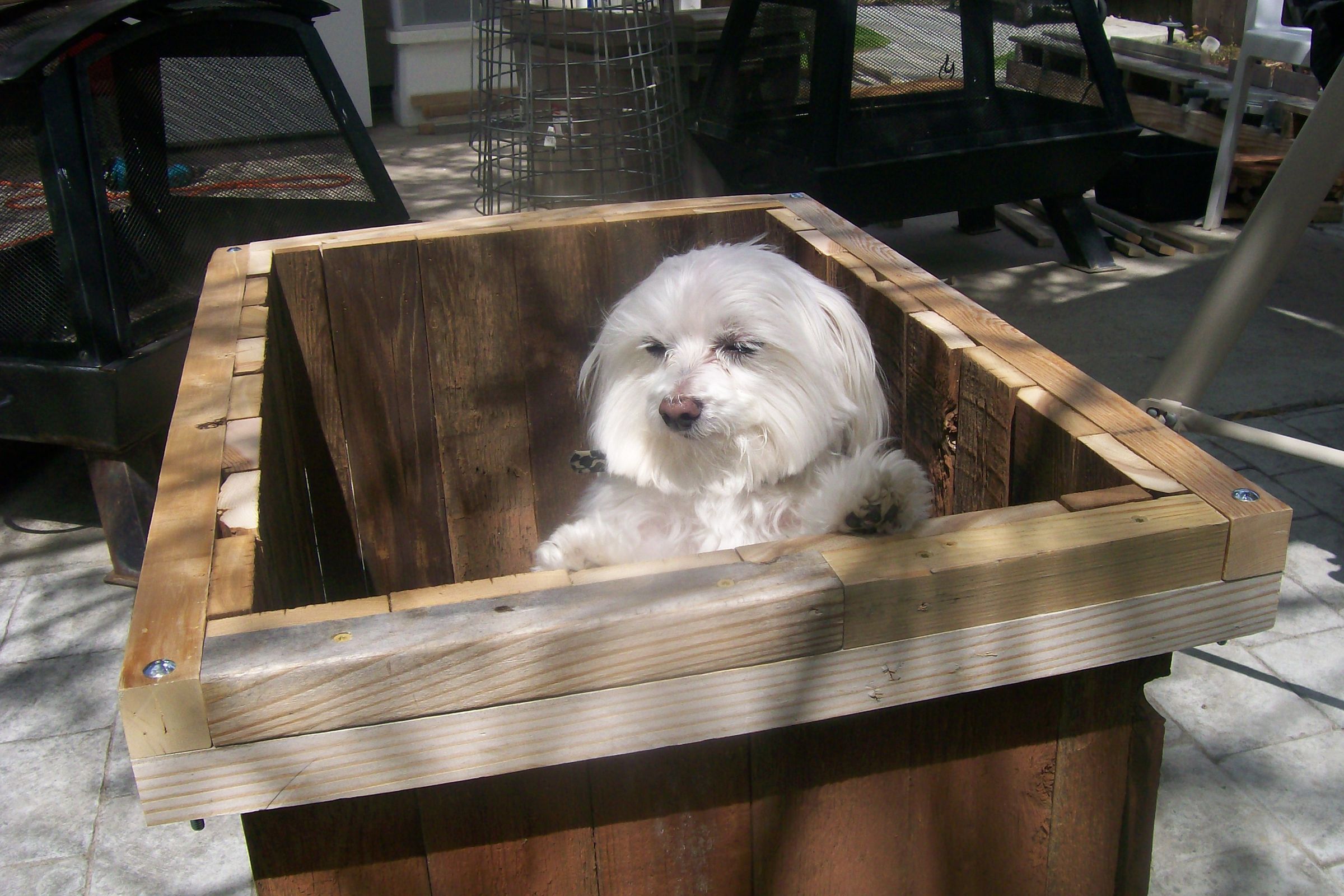 How to Build Your Own Growing Containers : 13 Steps - Instructables