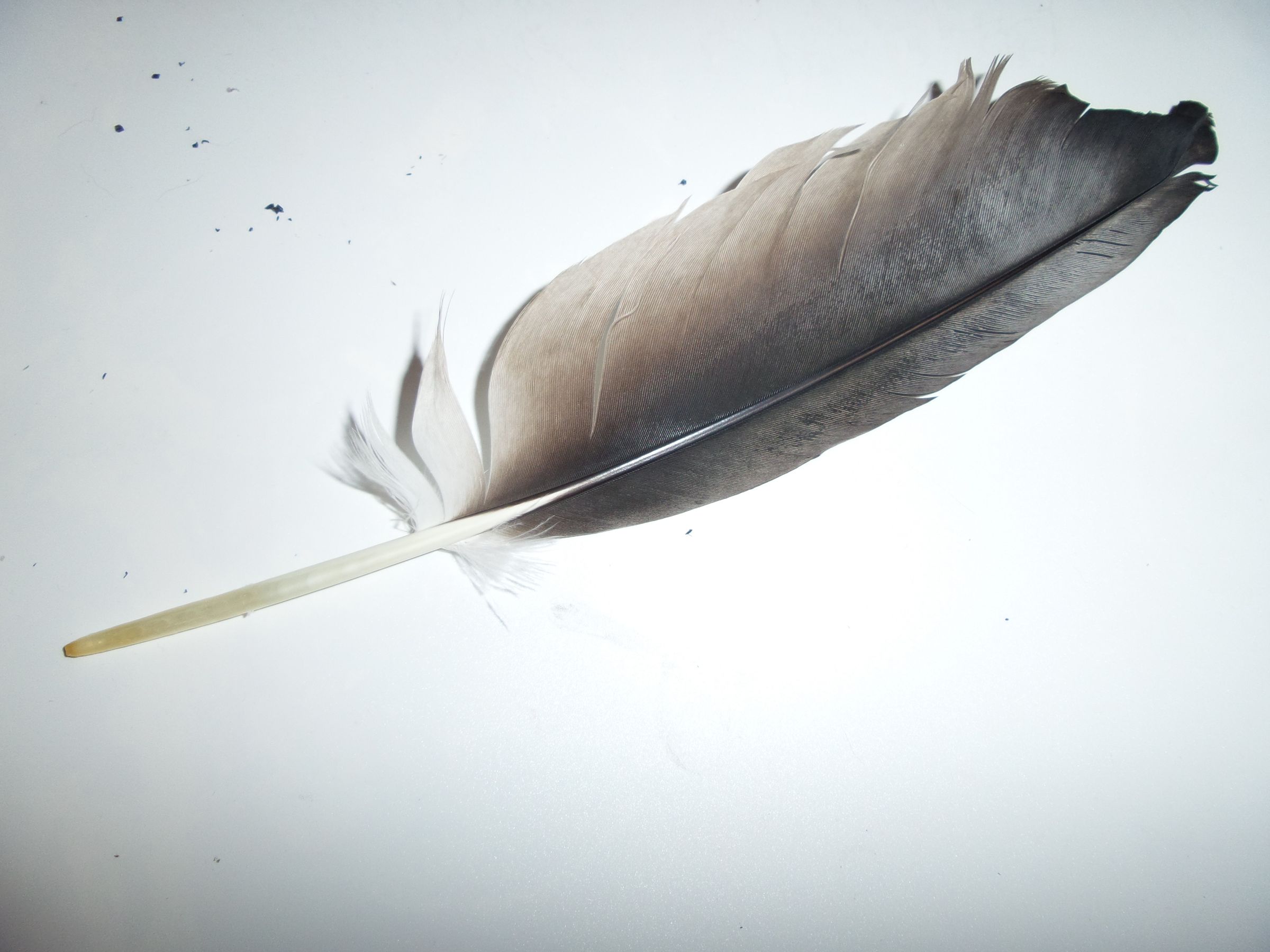 Ways to a Unique Stylus : 6 Steps - Instructables