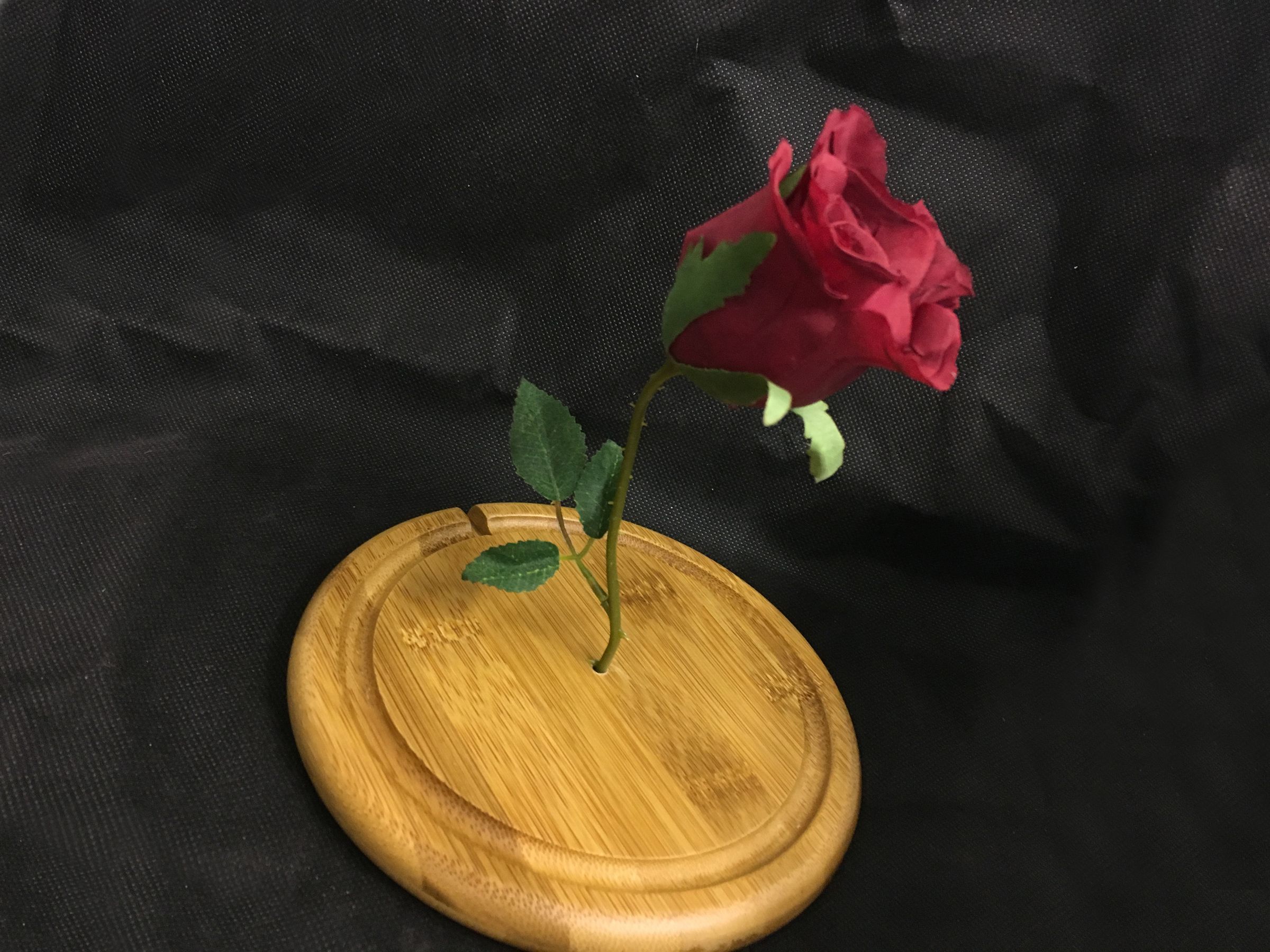 Enchanted Rose - Beauty and the Beast : 6 Steps (with Pictures ...
