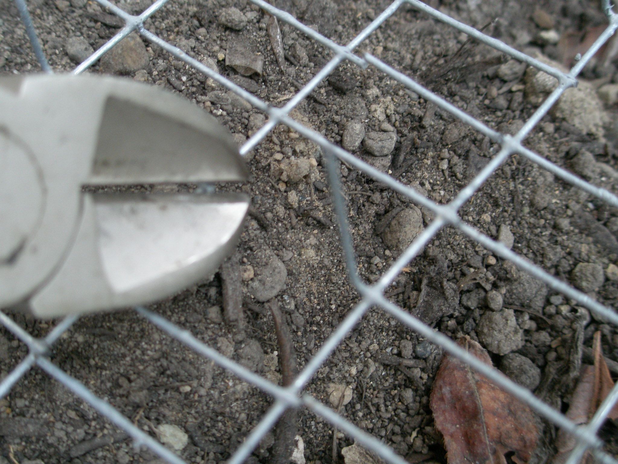 Anti-Cat Poop Garden - Instructables
