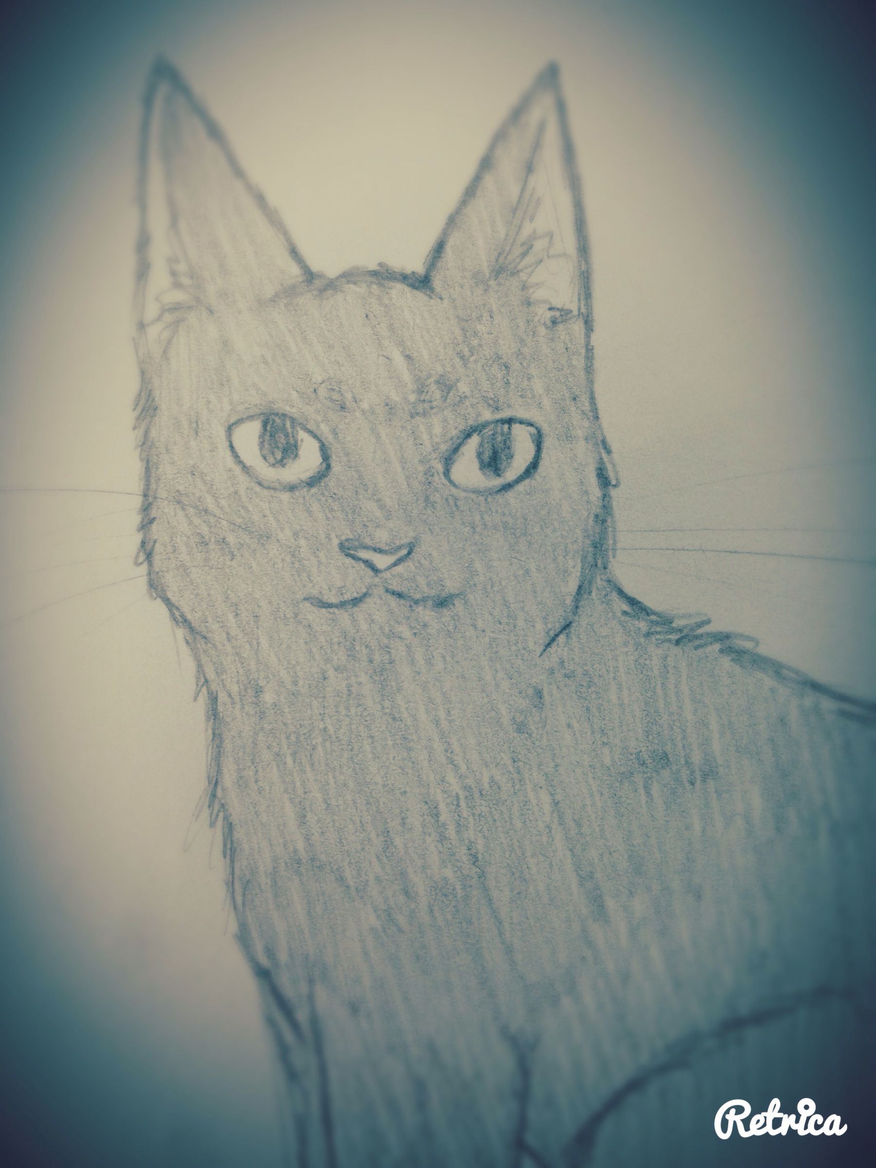 Drawing a Simple Cat : 8 Steps - Instructables