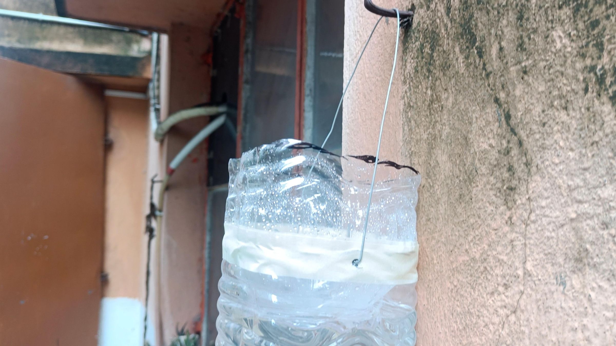 Monsoon Mosquito Control - DIY Ovitraps to Reduce Mosquito Populations ...