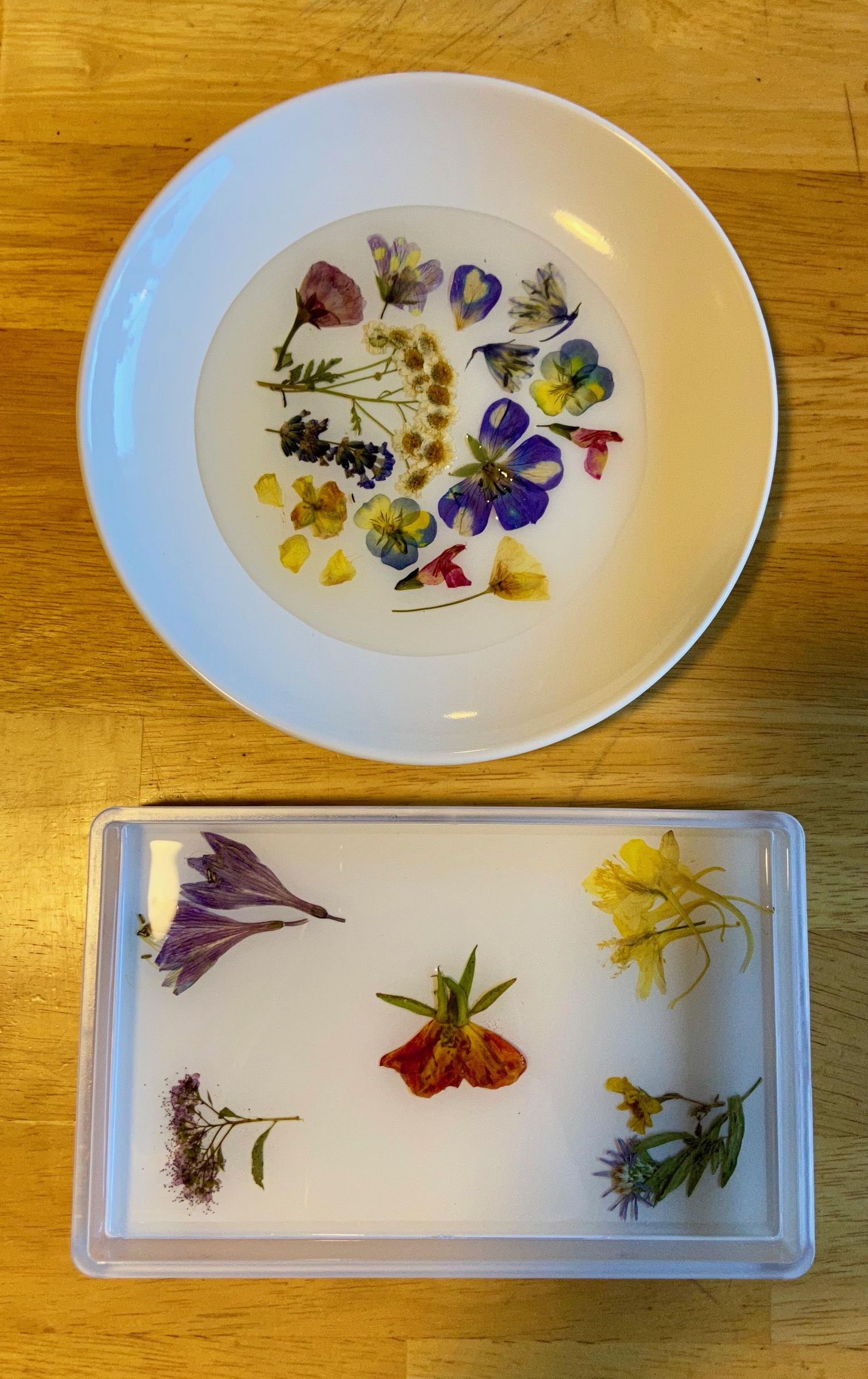 Pressed Flower Plates : 7 Steps (with Pictures) - Instructables