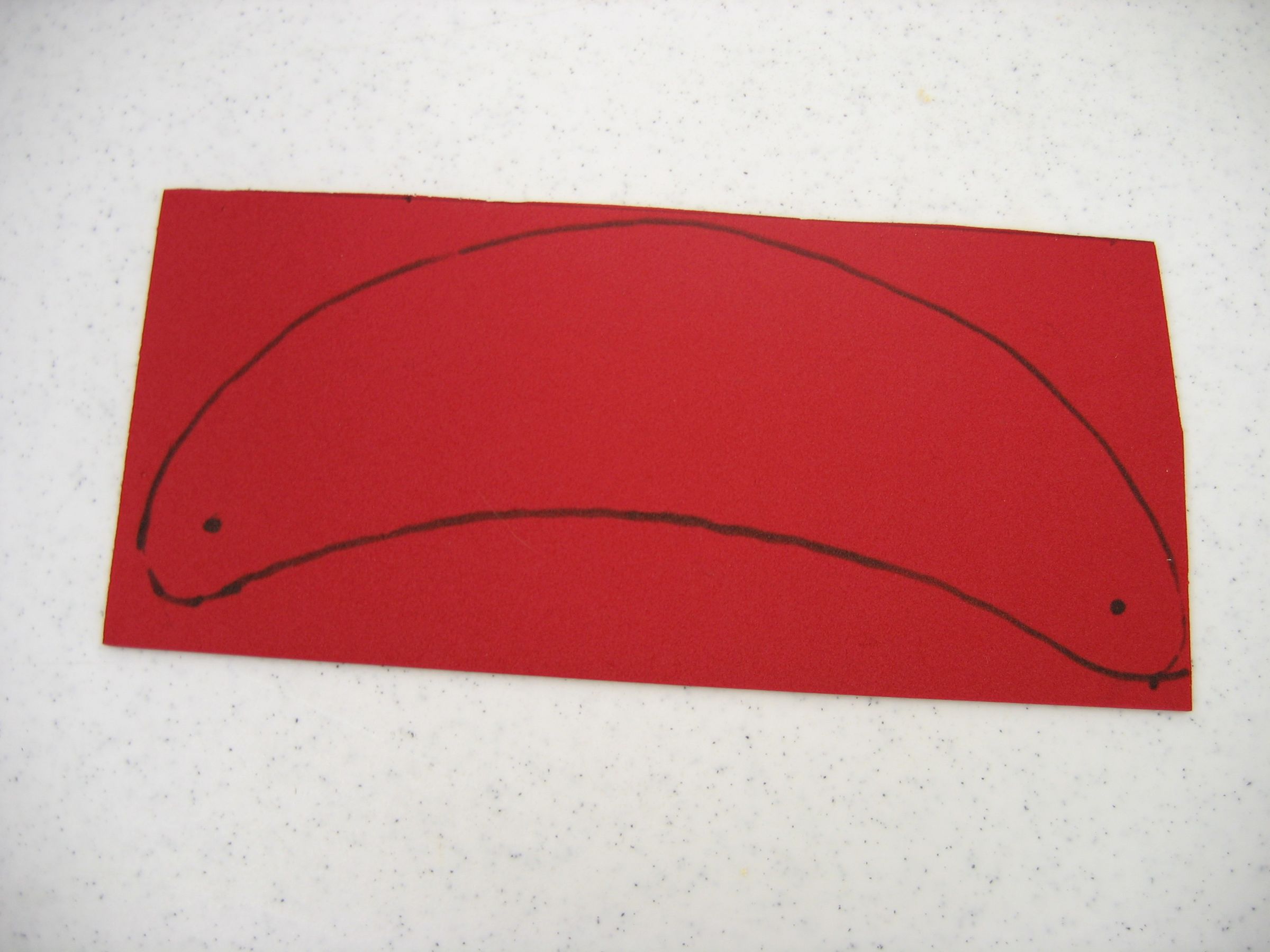 Simple Sun Visor : 3 Steps - Instructables