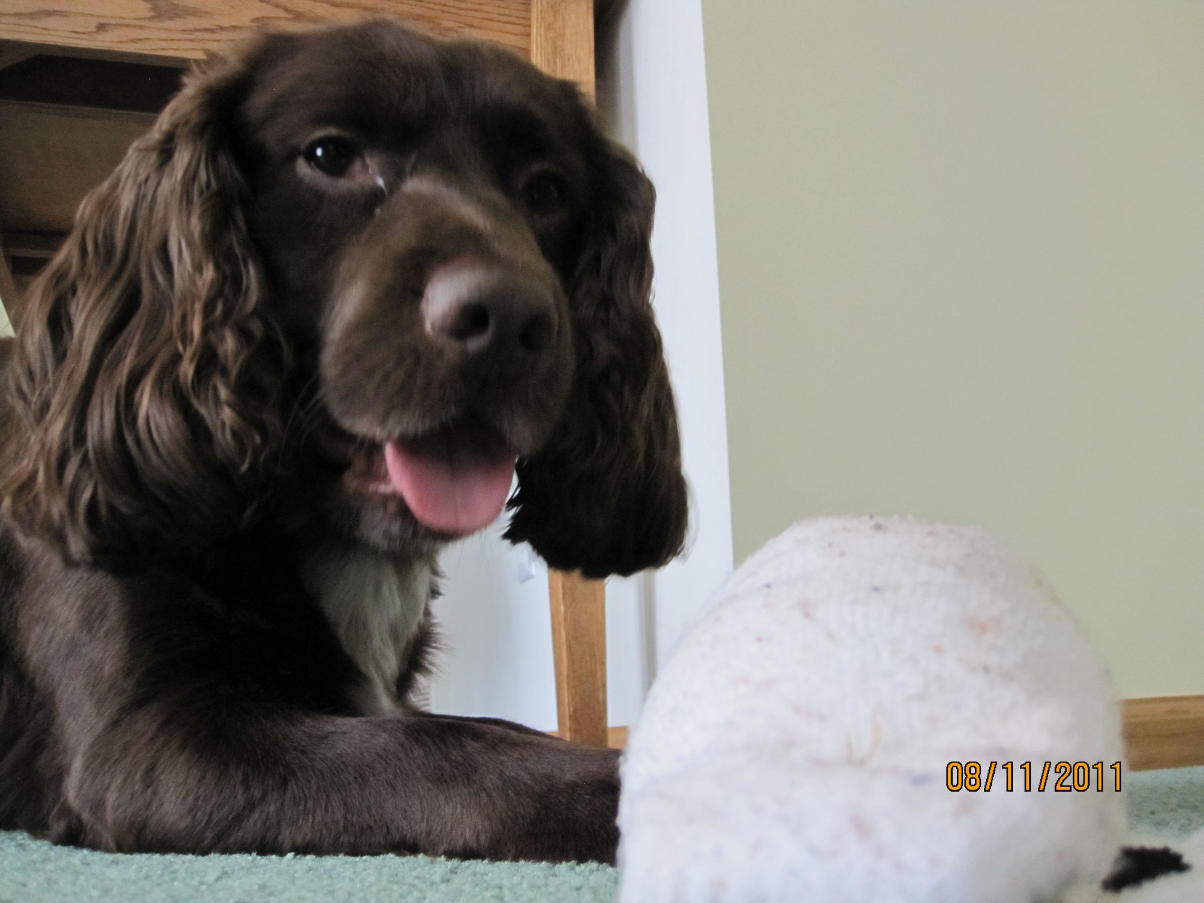 The Sock Ball : 3 Steps - Instructables