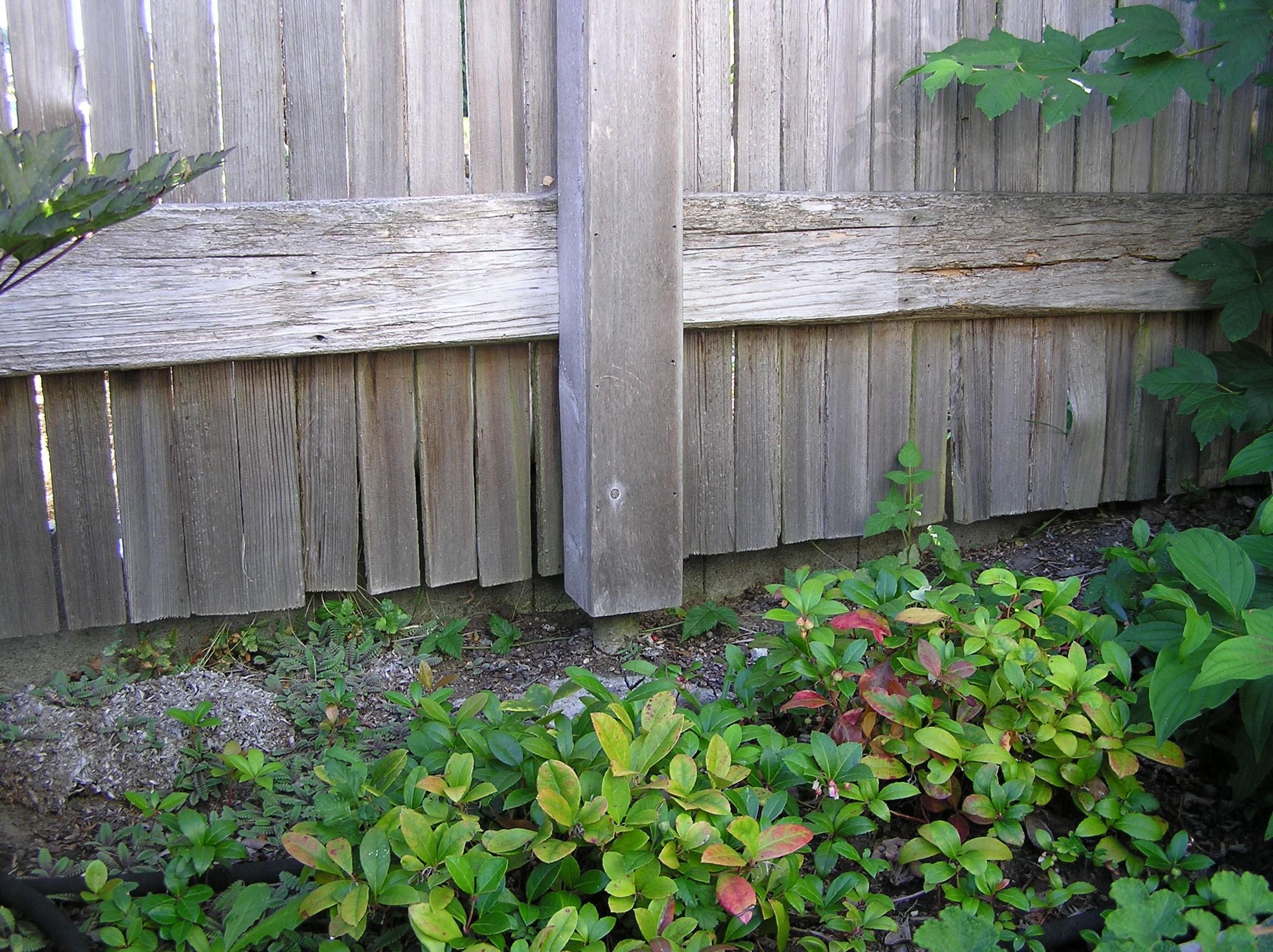 Concealed Gate and Pivoting Slide Bolt : 10 Steps (with Pictures ...