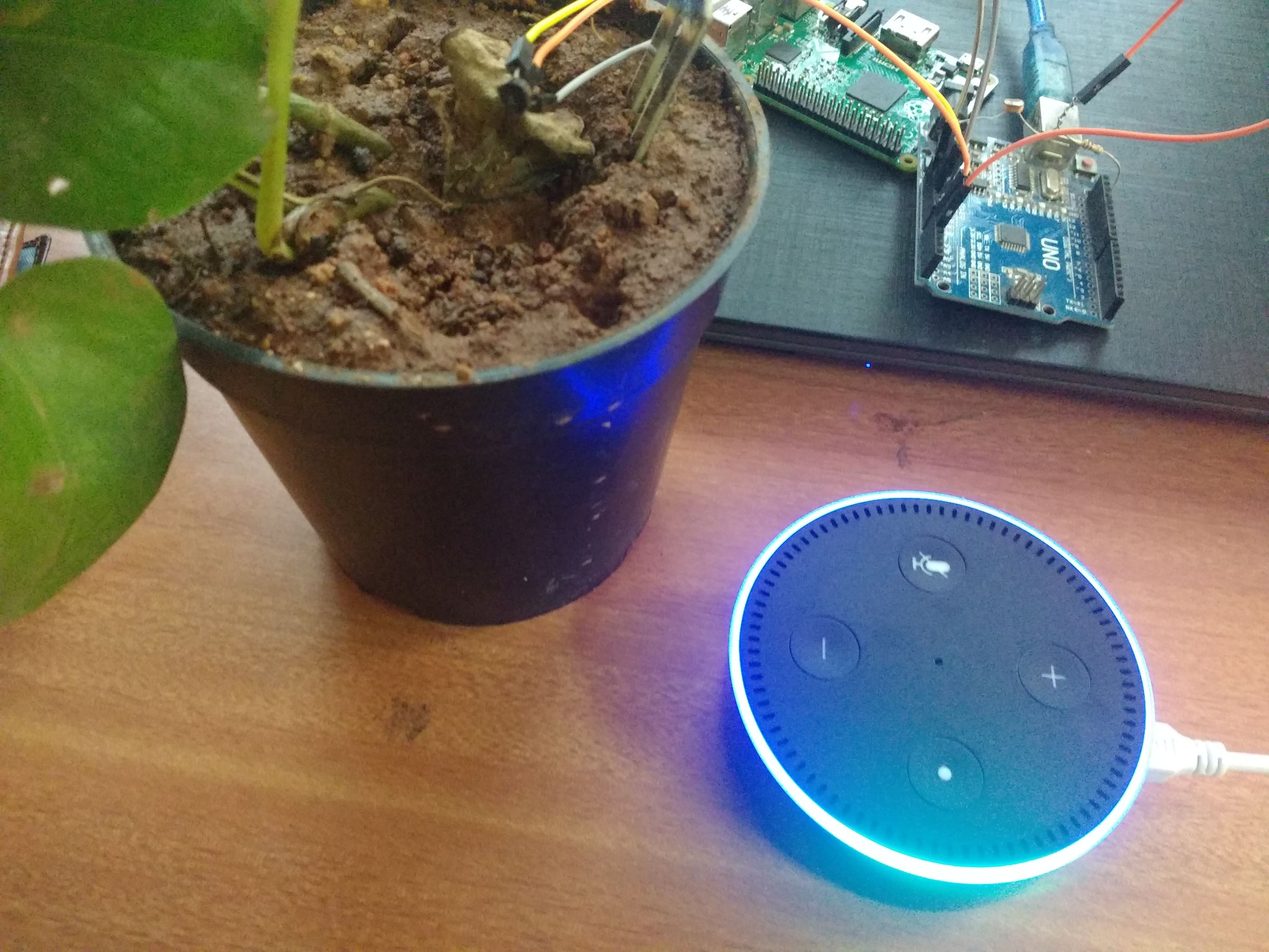 Plant Monitoring Using Alexa : 14 Steps (with Pictures) - Instructables