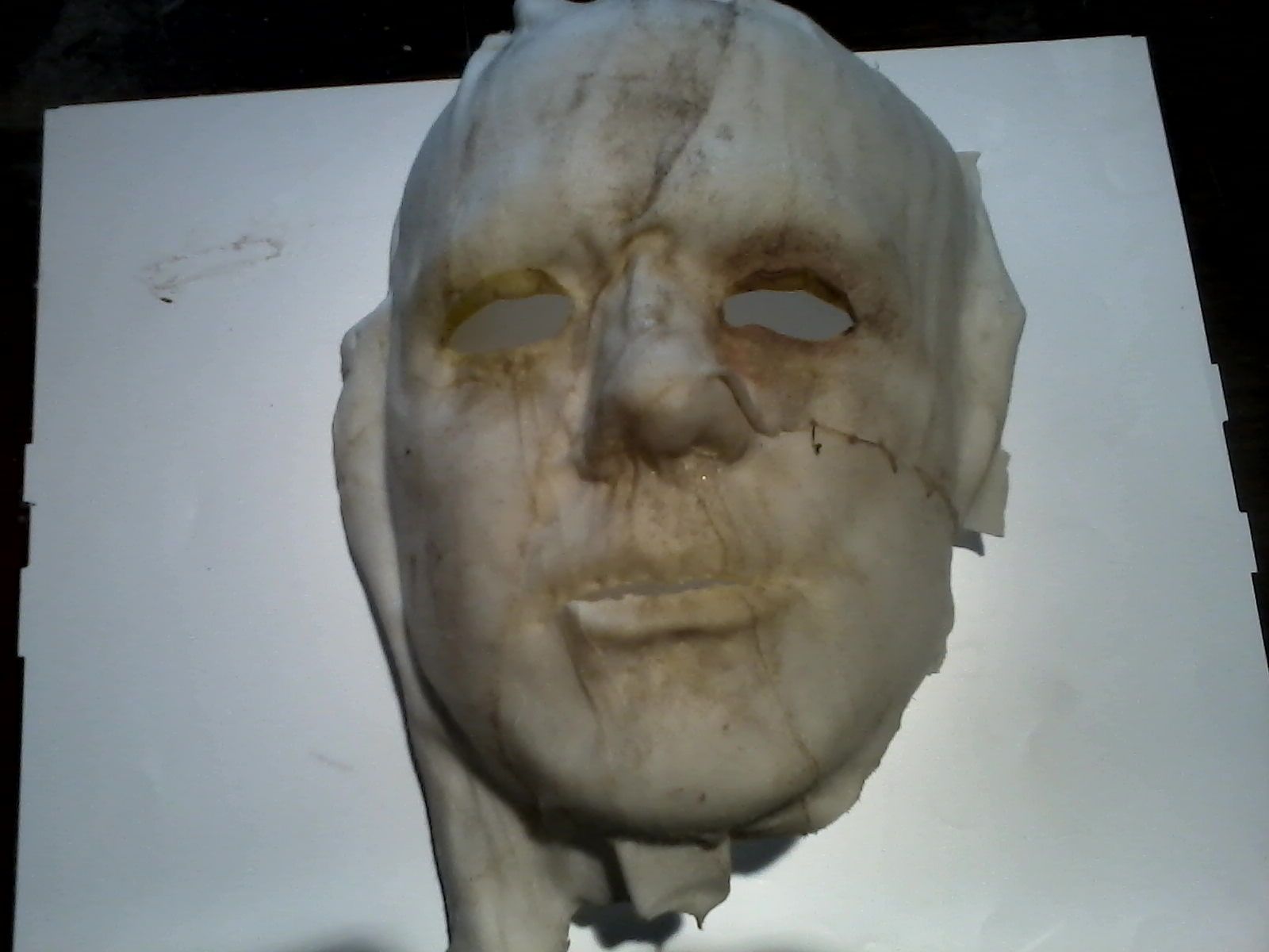 Ed Gein Skin Artifacts