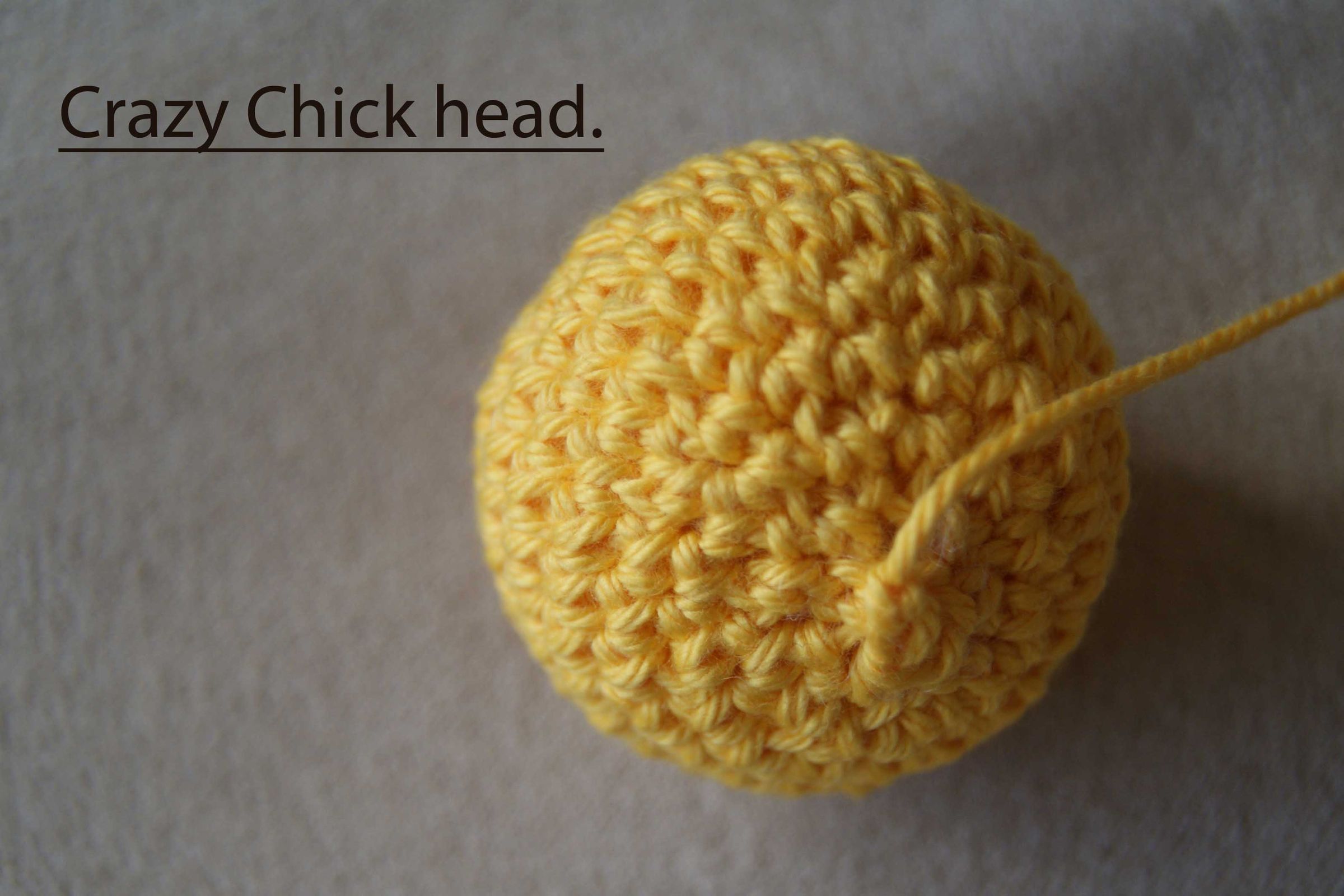 Crazy Chick : 16 Steps (with Pictures) - Instructables