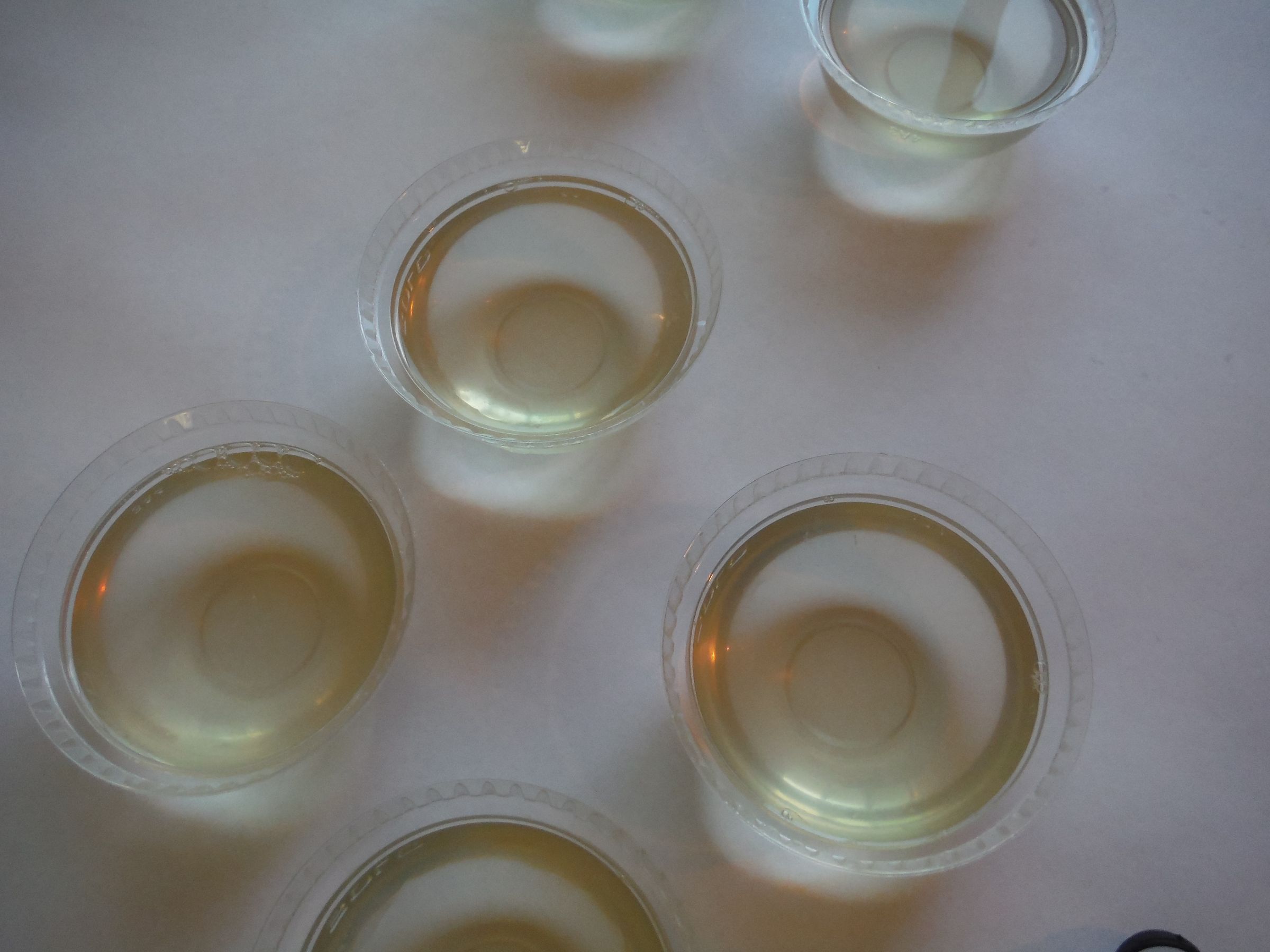 How to Make (edible) Creepy Things Encapsulated in Gelatin : 10 Steps ...