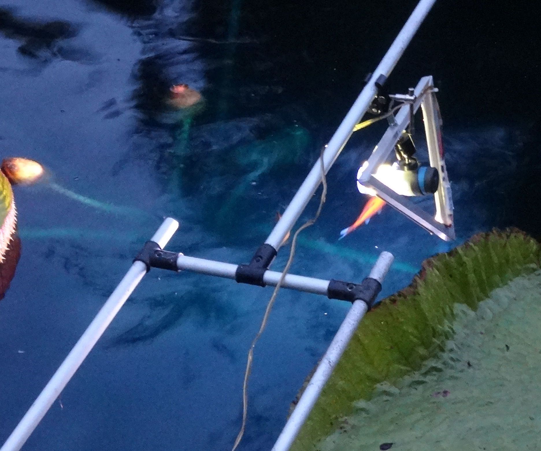 Large LED "ring" Light for Timelapse, Portraits and More... : 11 Steps ...