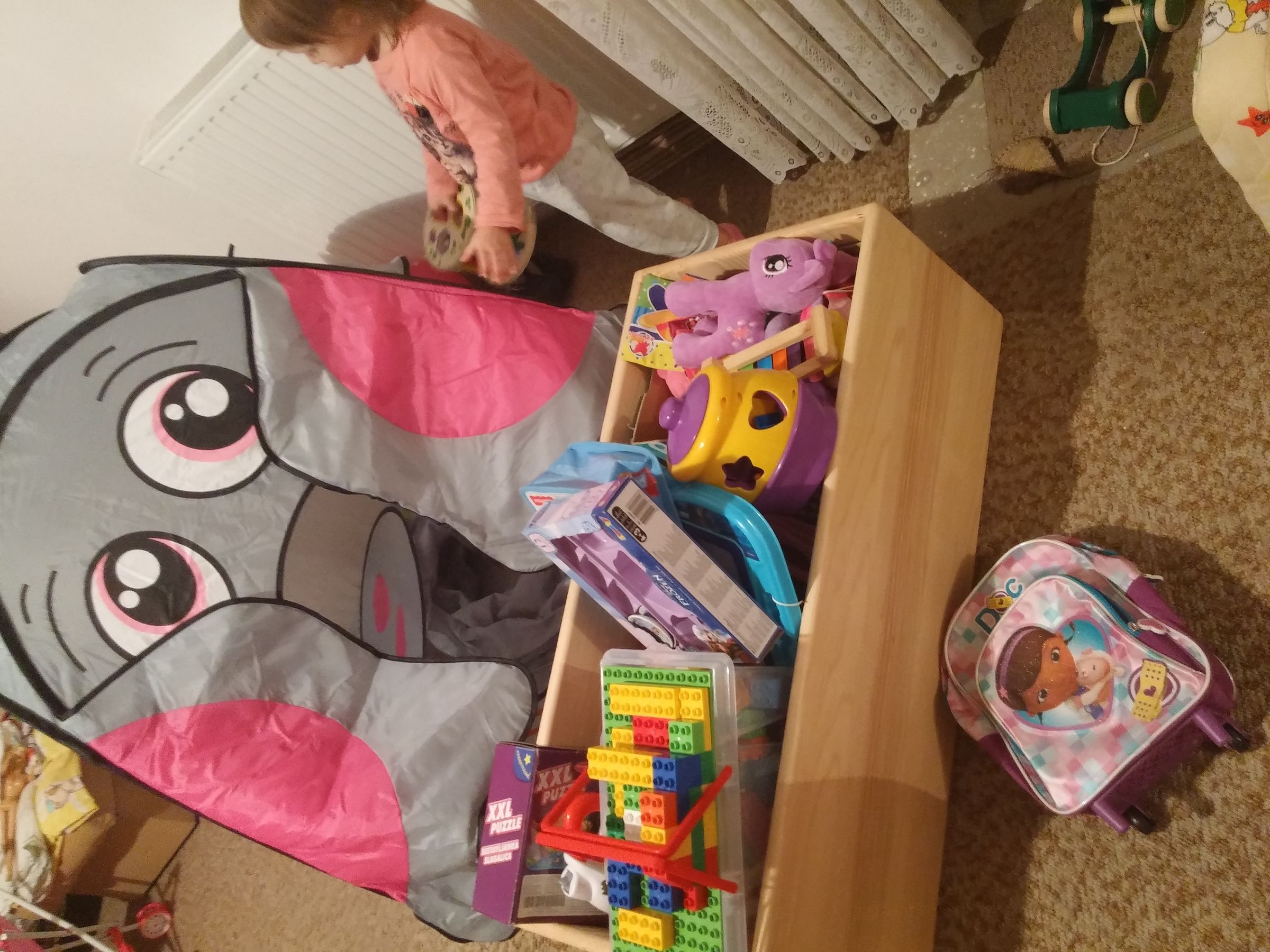 Toy Chest for Kids : 9 Steps (with Pictures) - Instructables
