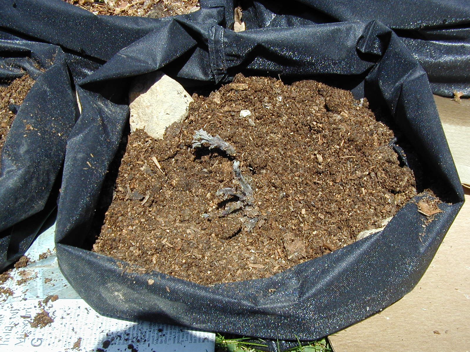 Tater Totes: Potato Grow Bags : 7 Steps (with Pictures) - Instructables