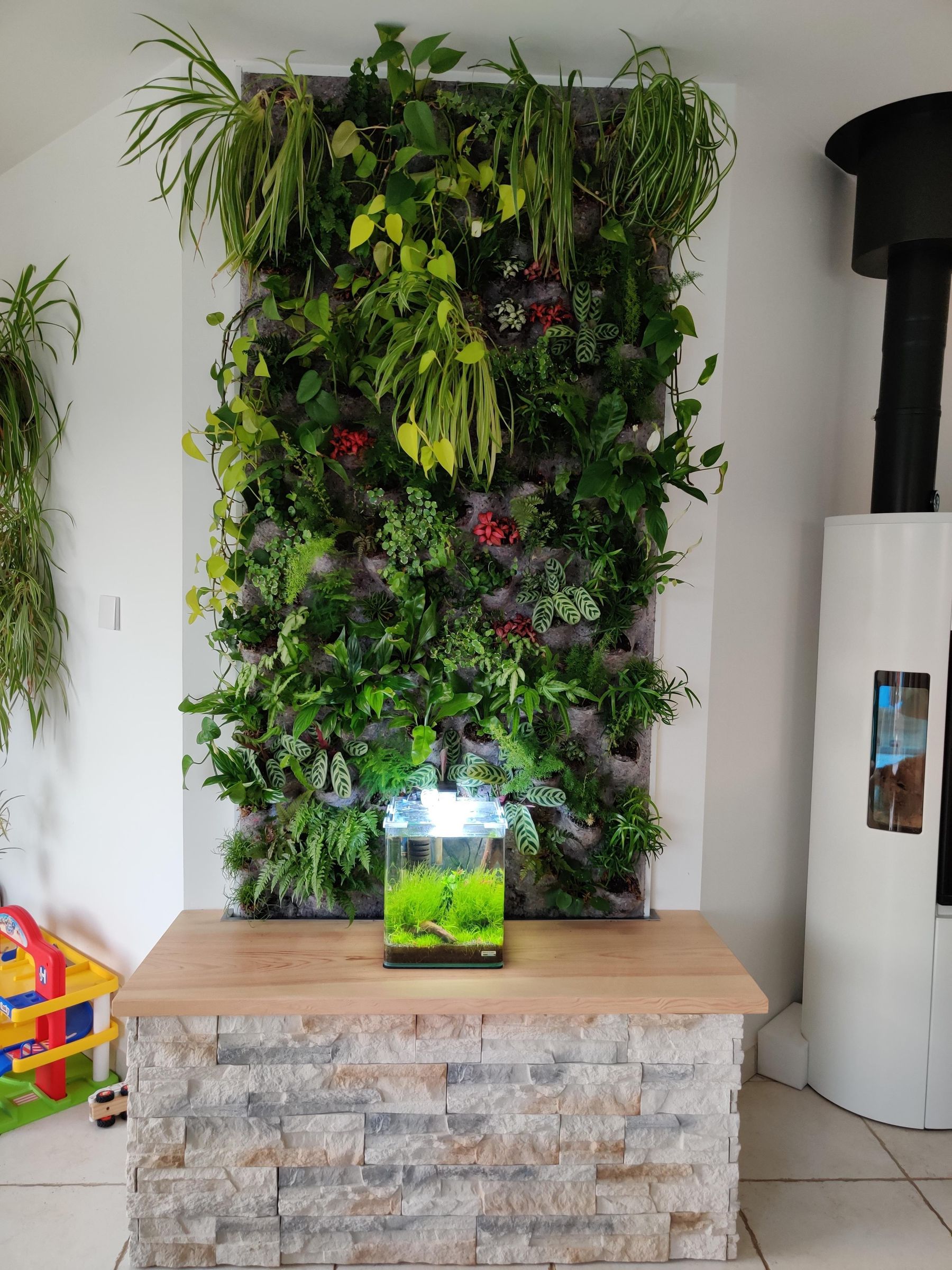 Indoor Green Wall : 5 Steps (with Pictures) - Instructables