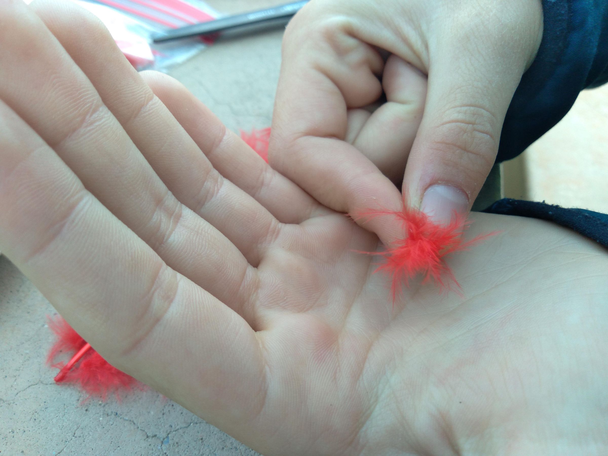 DIY Miniature Phoenix : 10 Steps (with Pictures) - Instructables