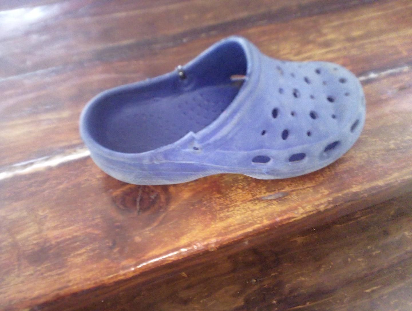 How to Make a Bird Feeder Out of a Shoe DIY : 3 Steps - Instructables