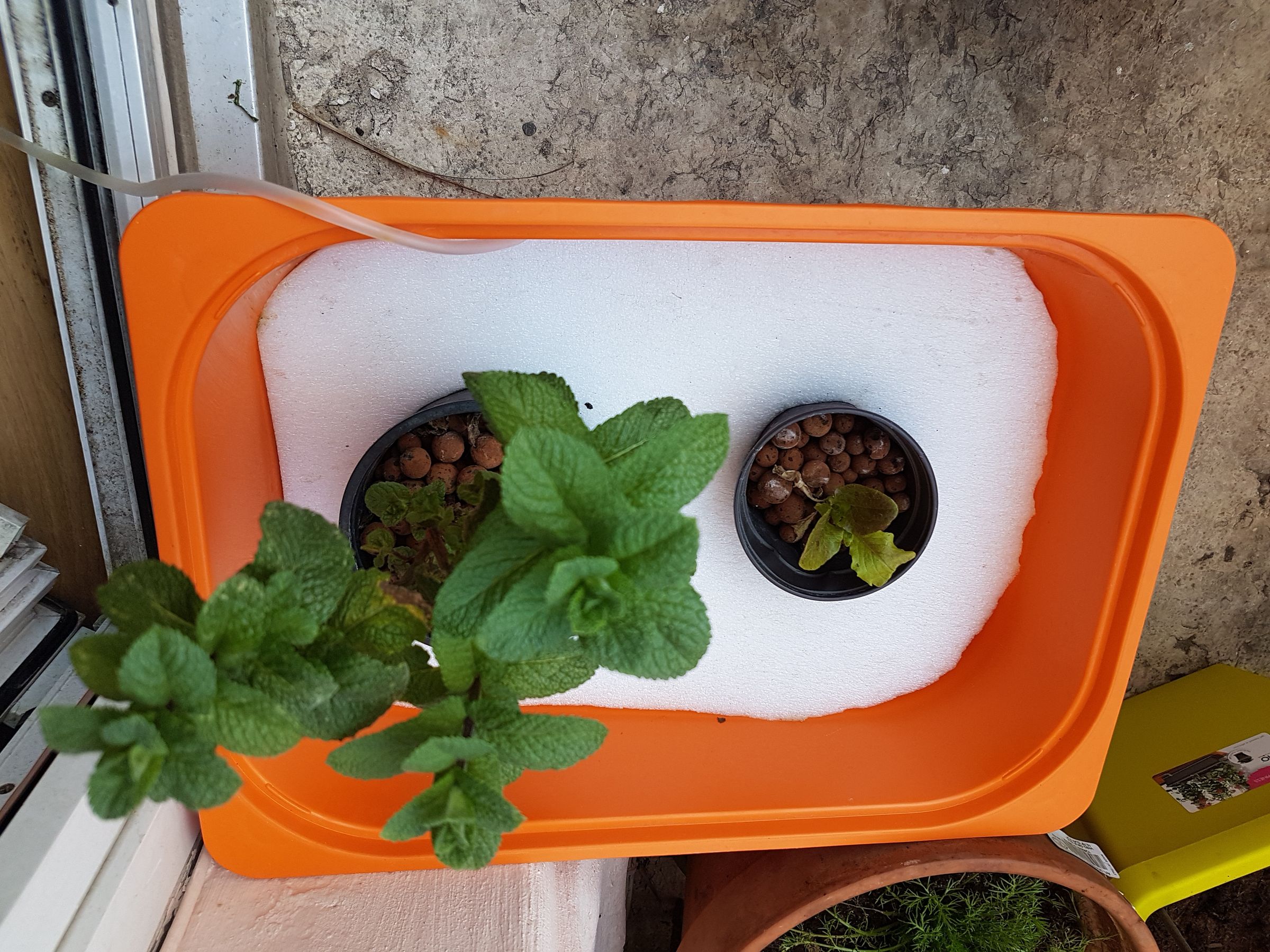 First Timer Hydroponics: the Raft System : 8 Steps (with Pictures ...