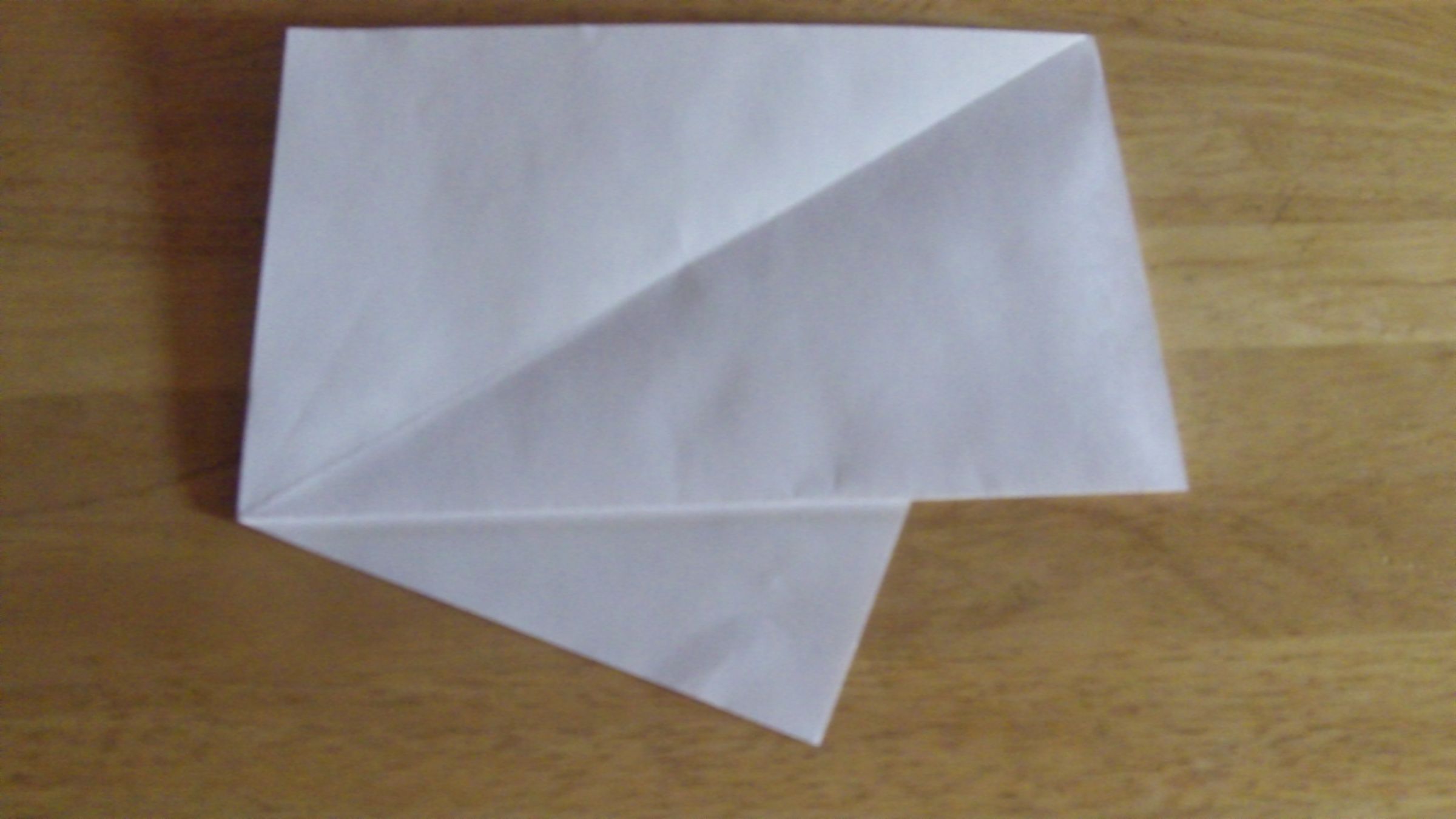 How to Make the Pelican Paper Airplane : 10 Steps - Instructables
