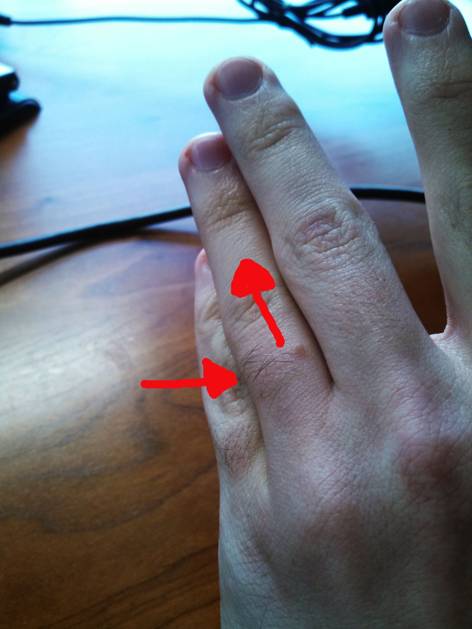 Coin Roll : 20 Steps (with Pictures) - Instructables