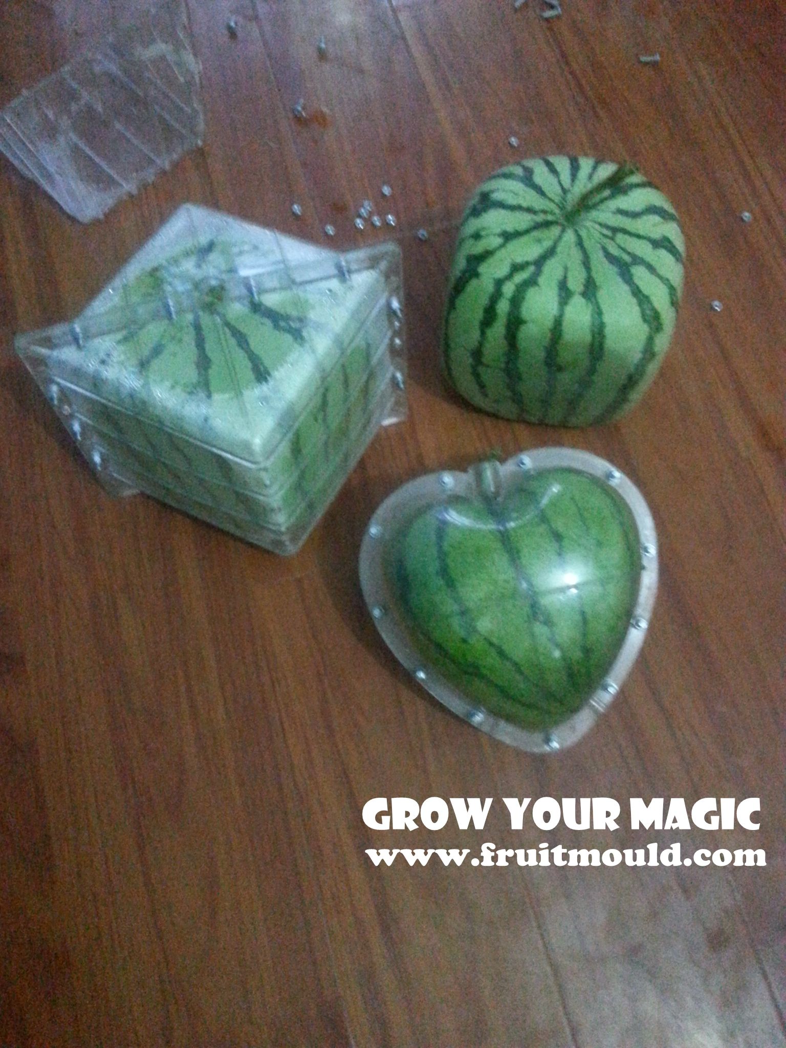 Square Watermelon Mold