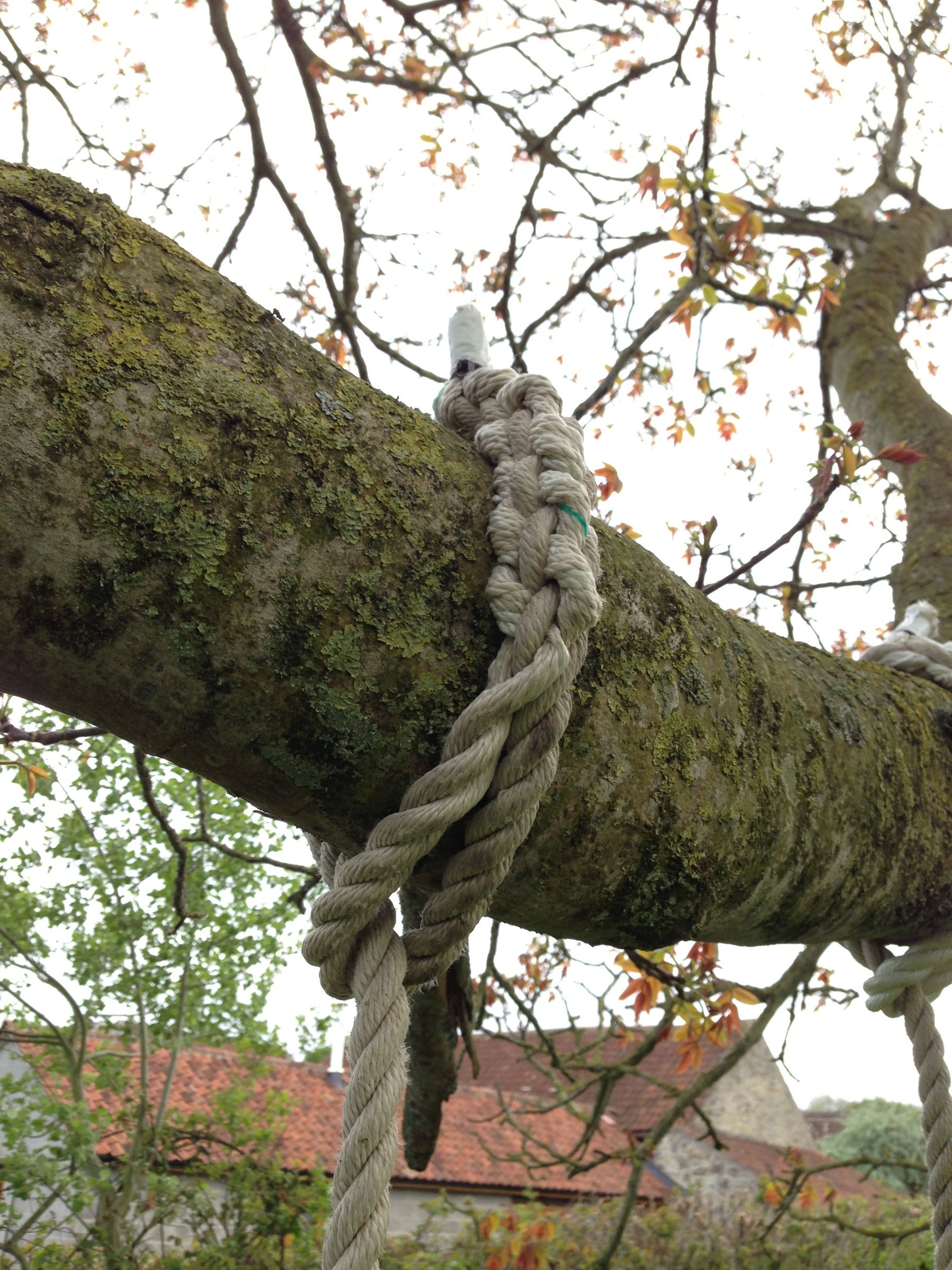 Traditional Garden Tree Swing : 6 Steps - Instructables