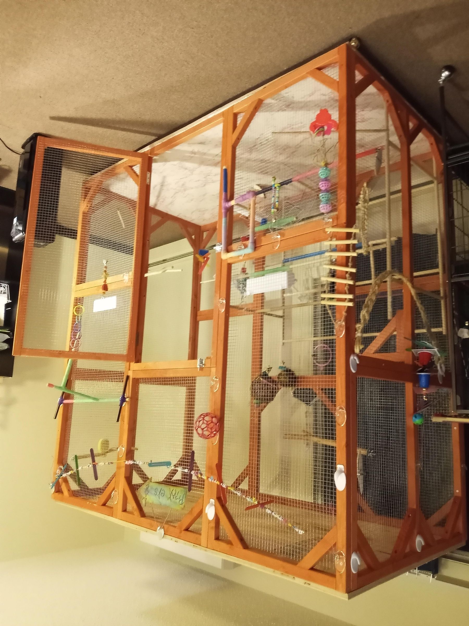 Walk-in Bird Aviary : 9 Steps (with Pictures) - Instructables