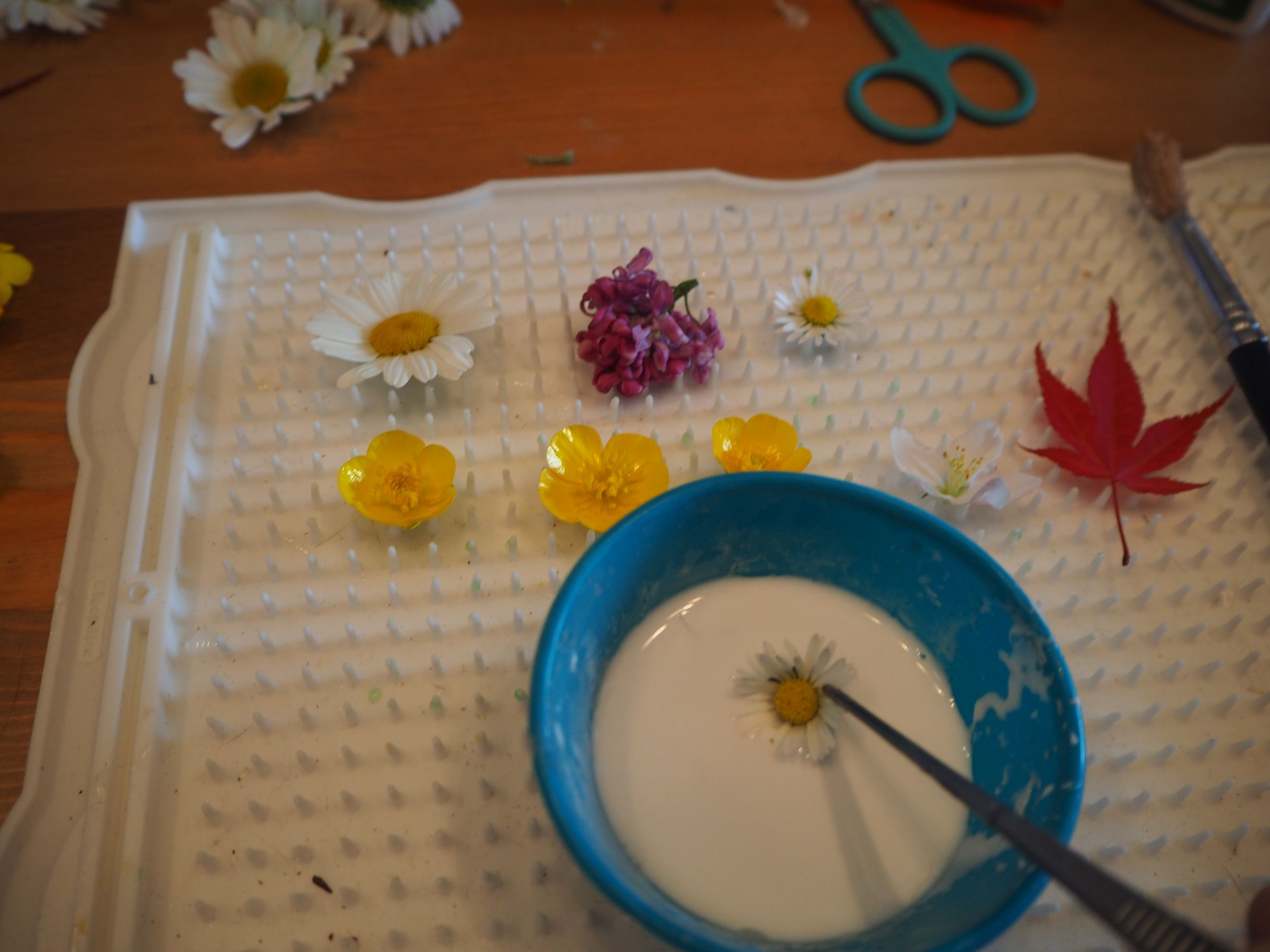 Techniques to Embed Flowers in Resin : 12 Steps (with Pictures ...