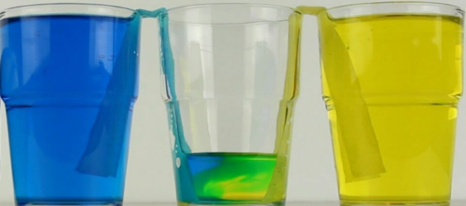 Capillary Action Experiment