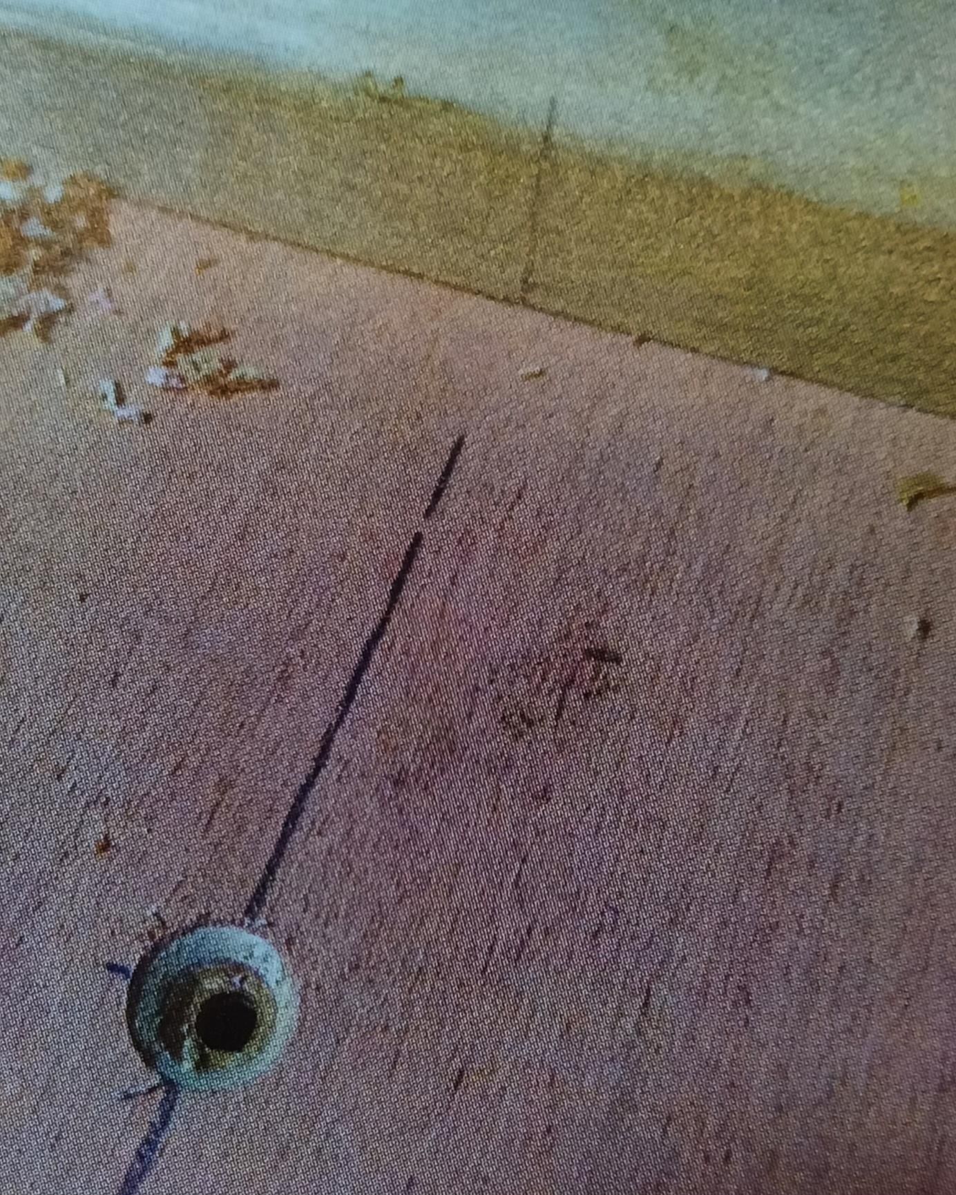 Blue Ribbon Beetle Trapping Bottom Board : 45 Steps (with Pictures ...