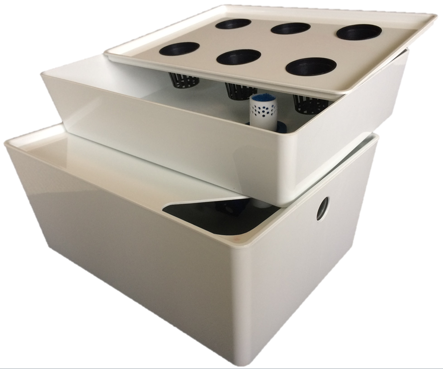 Small Hydroponics at Home : 10 Steps - Instructables