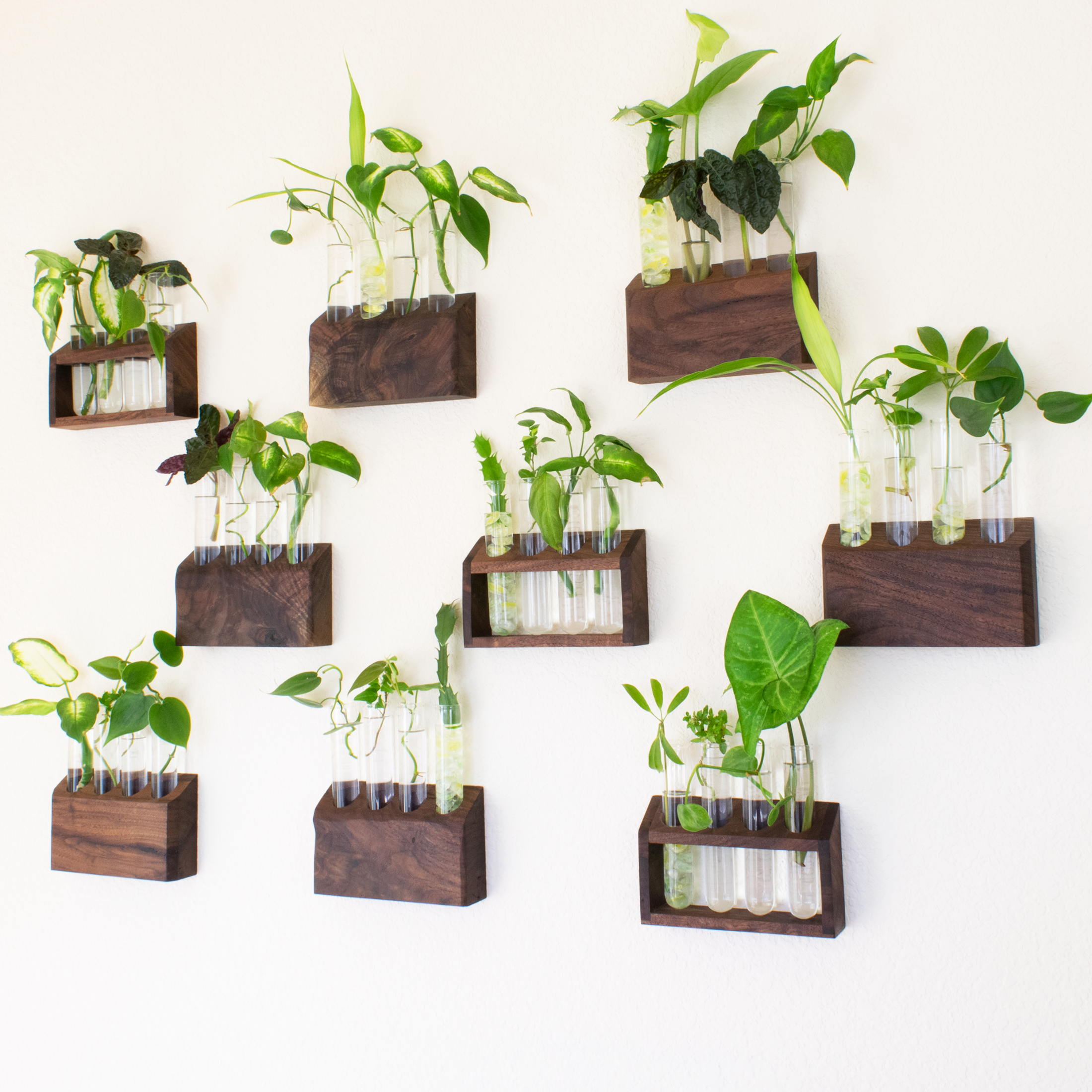 Propagation Station (3 Designs) : 10 Steps (with Pictures) - Instructables