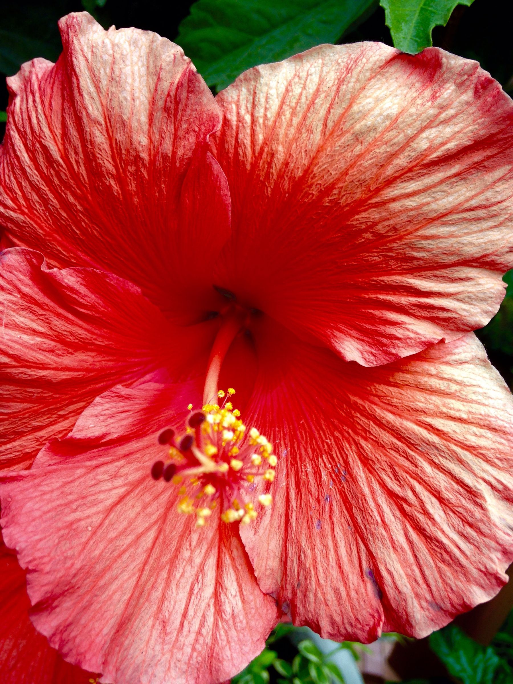 Beginners Guide to Photography : 7 Steps - Instructables