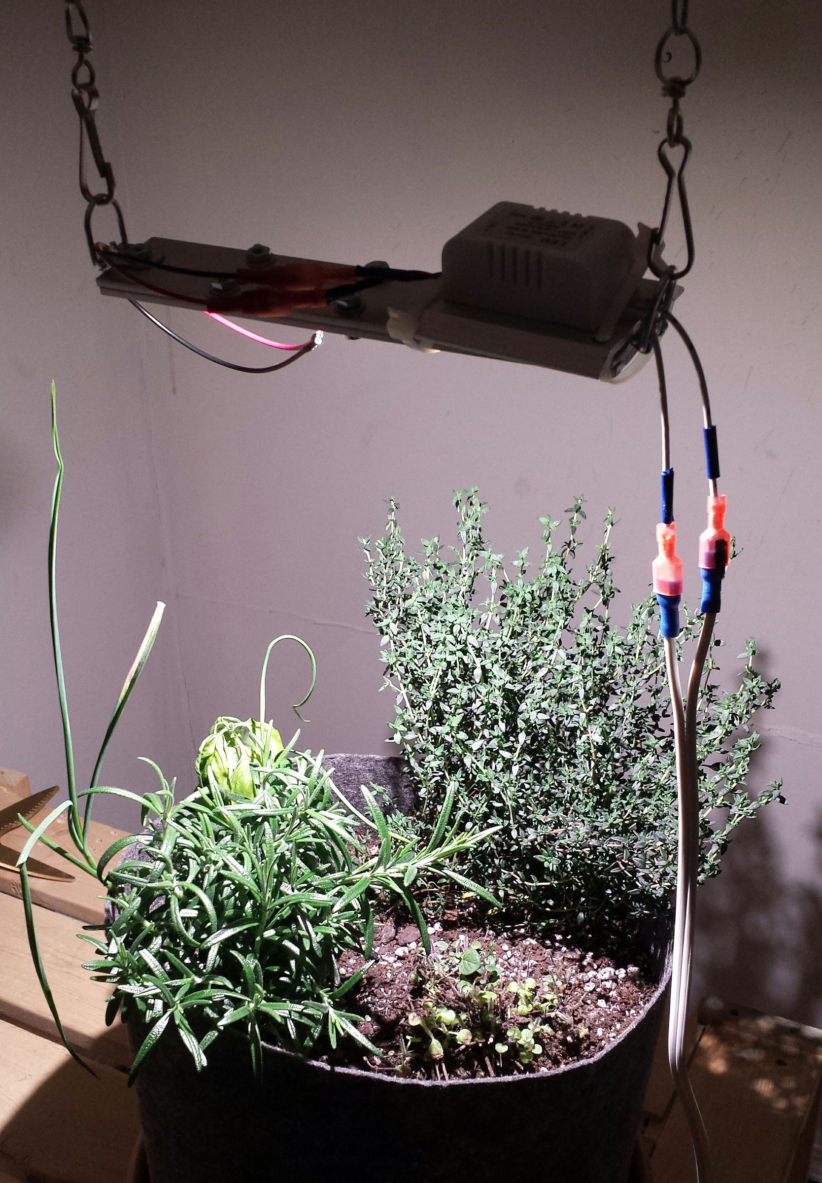 8w DIY LED Herb Garden : 6 Steps - Instructables